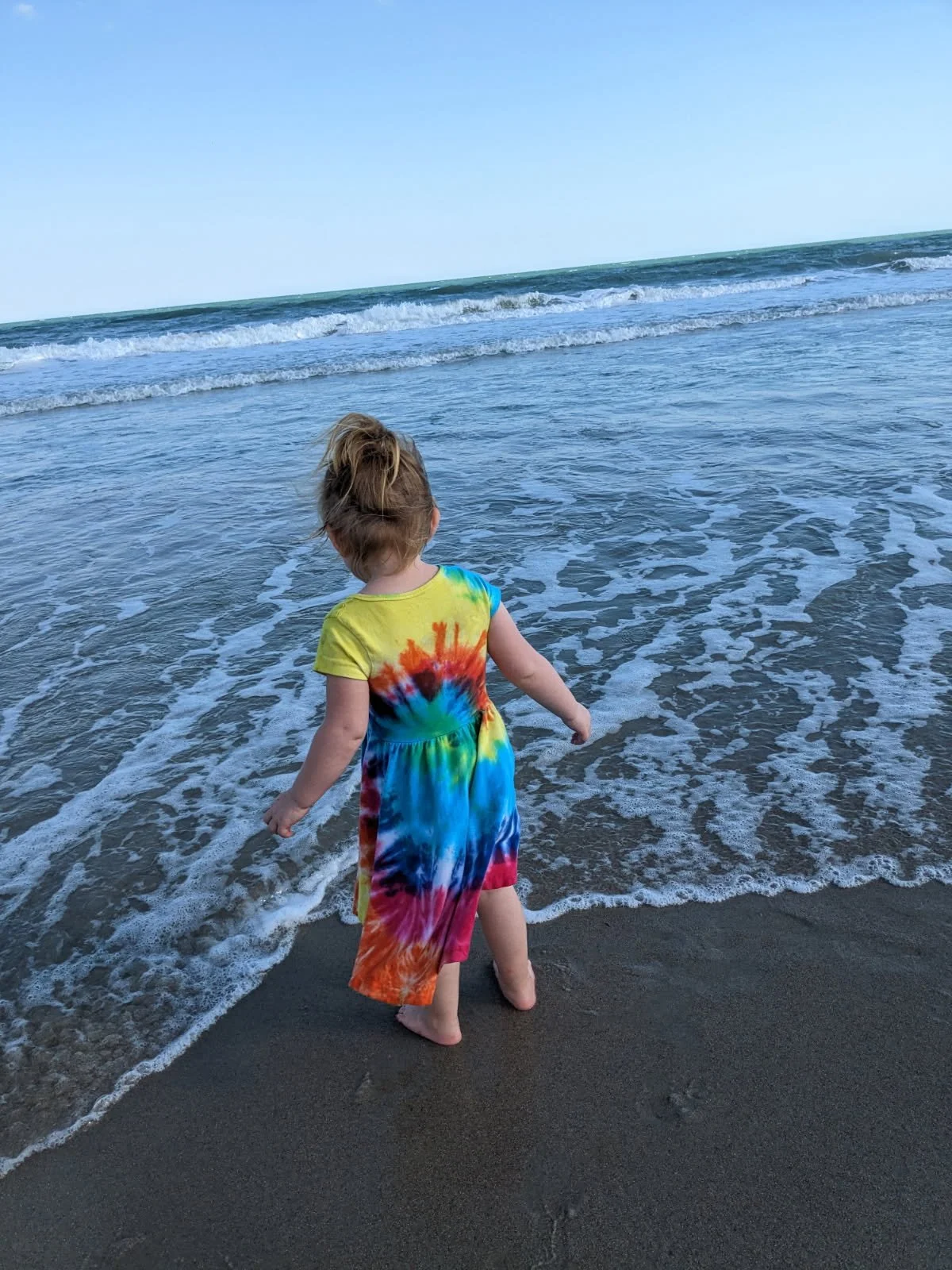 Explore Charleston — Wandervans