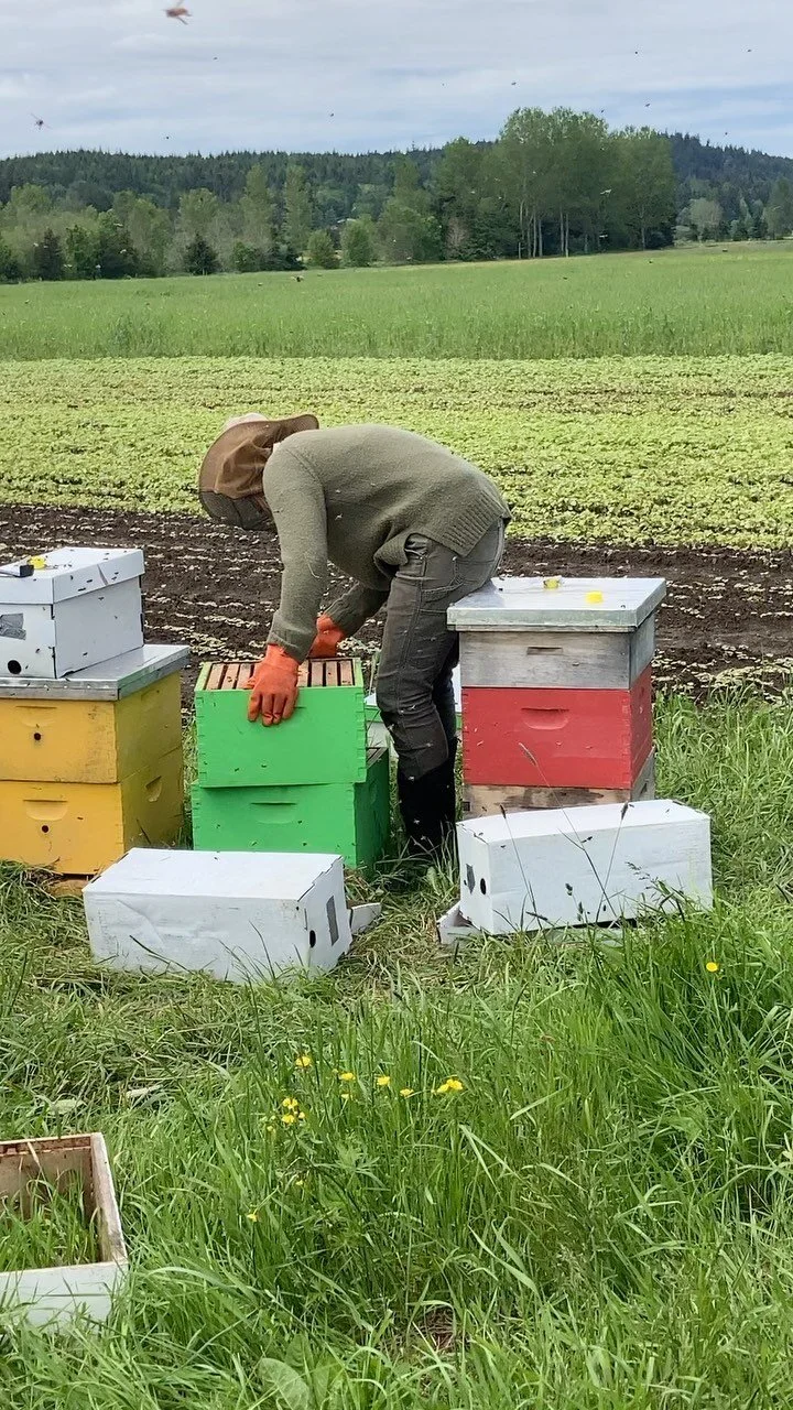 Chimacum Valley Grainery