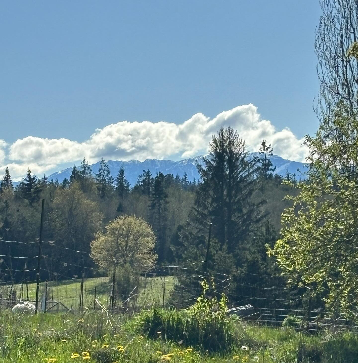 Chimacum Valley Grainery
