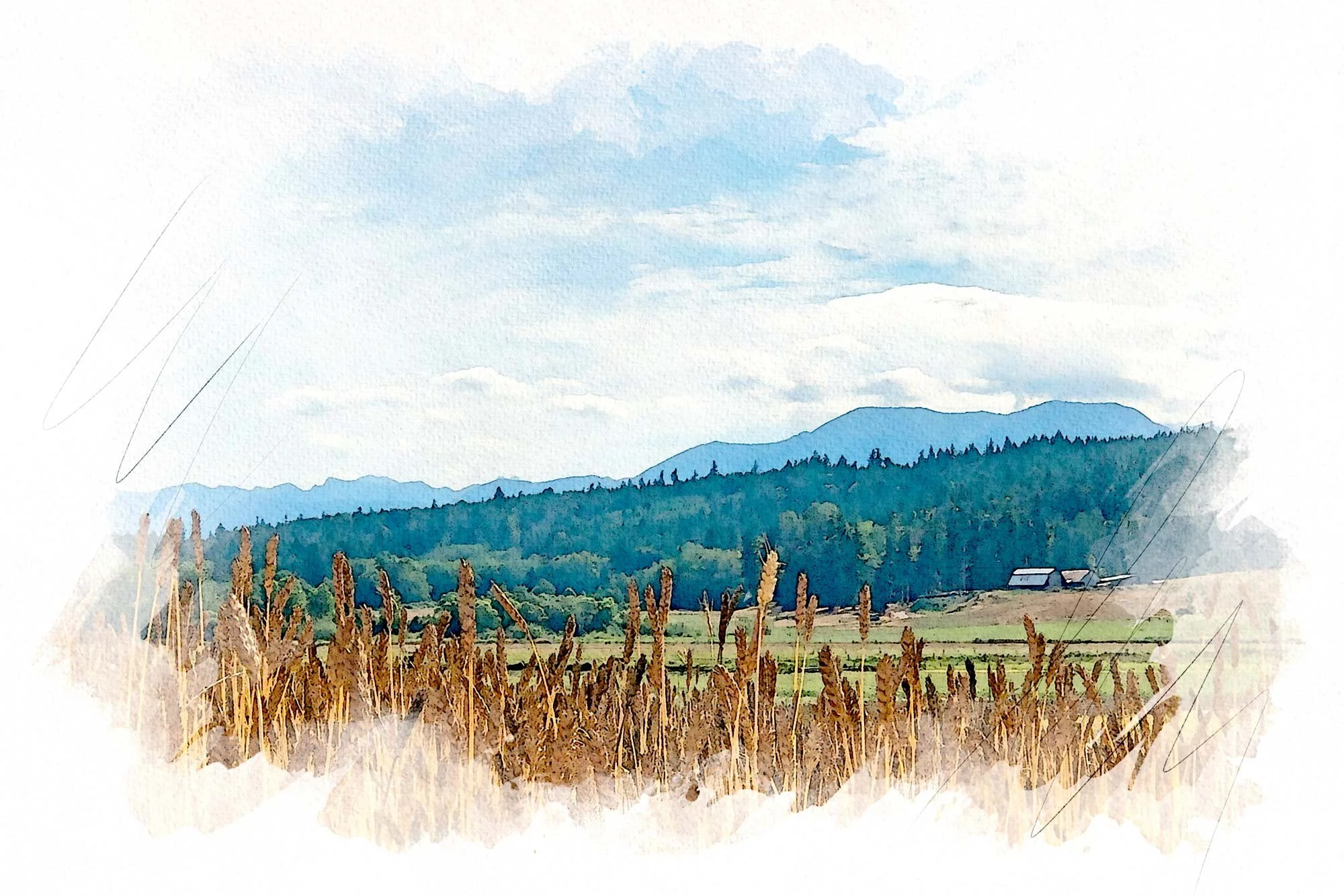 Chimacum Valley Grainery