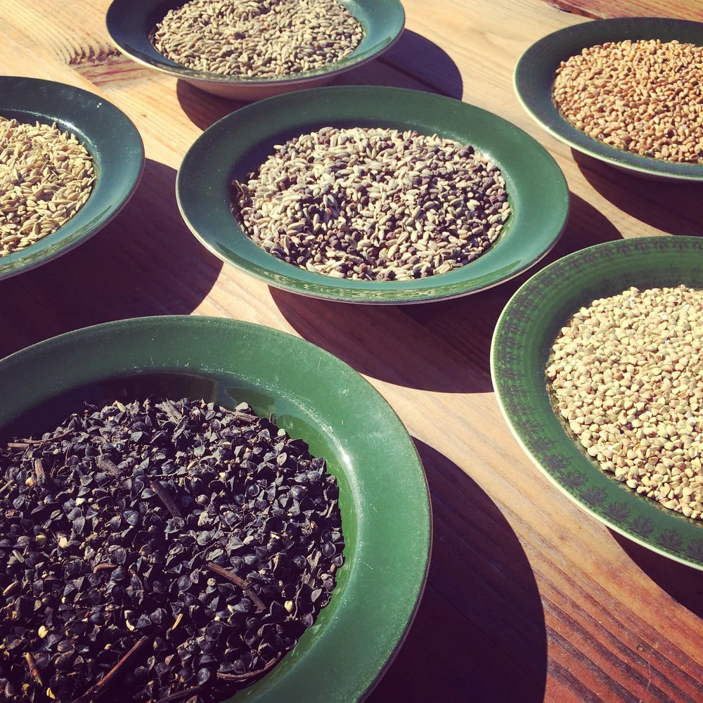 Chimacum Valley Grainery