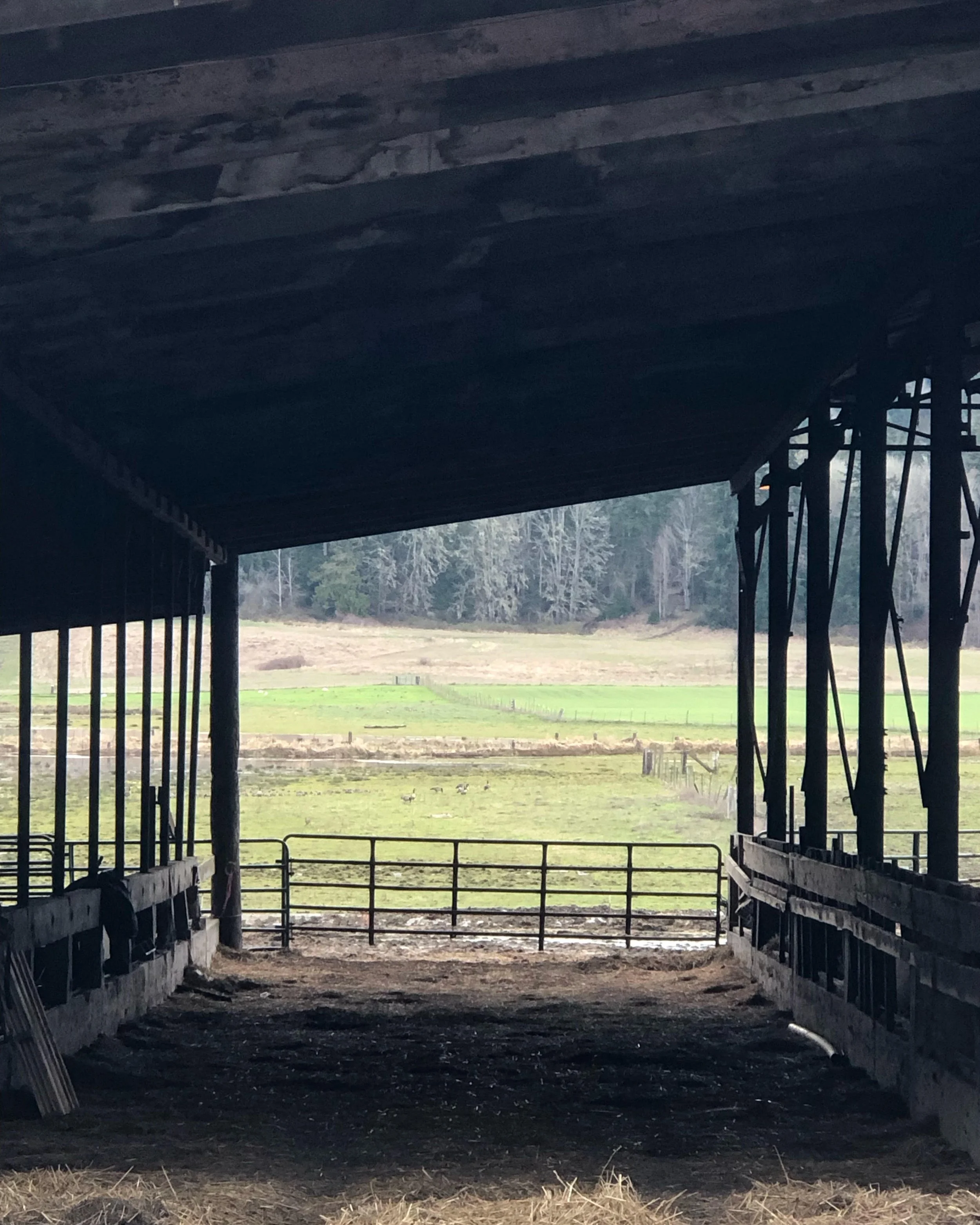 Organic Farm — Chimacum Valley Grainery