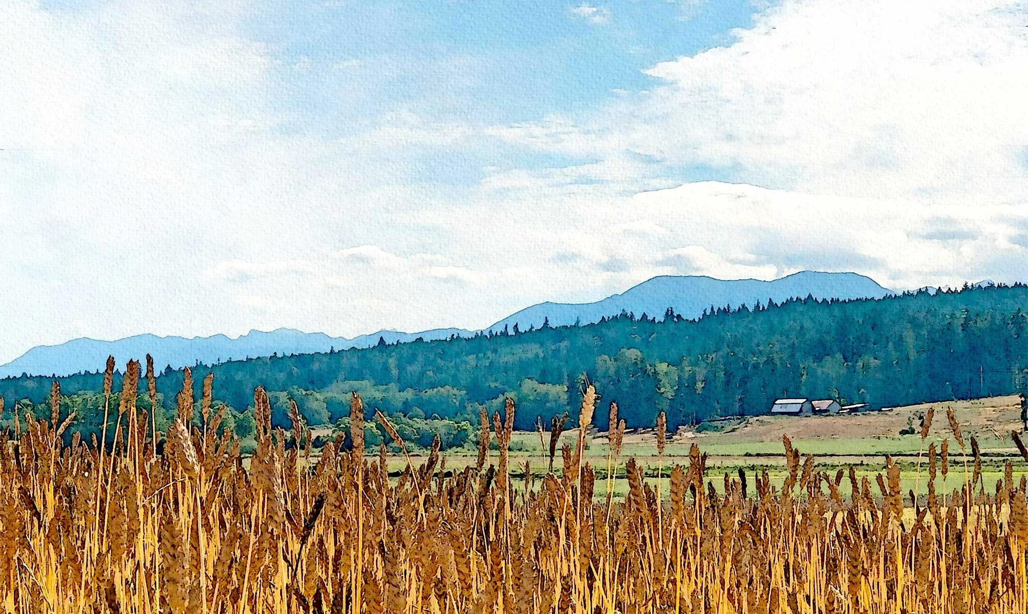 Chimacum Valley Grainery