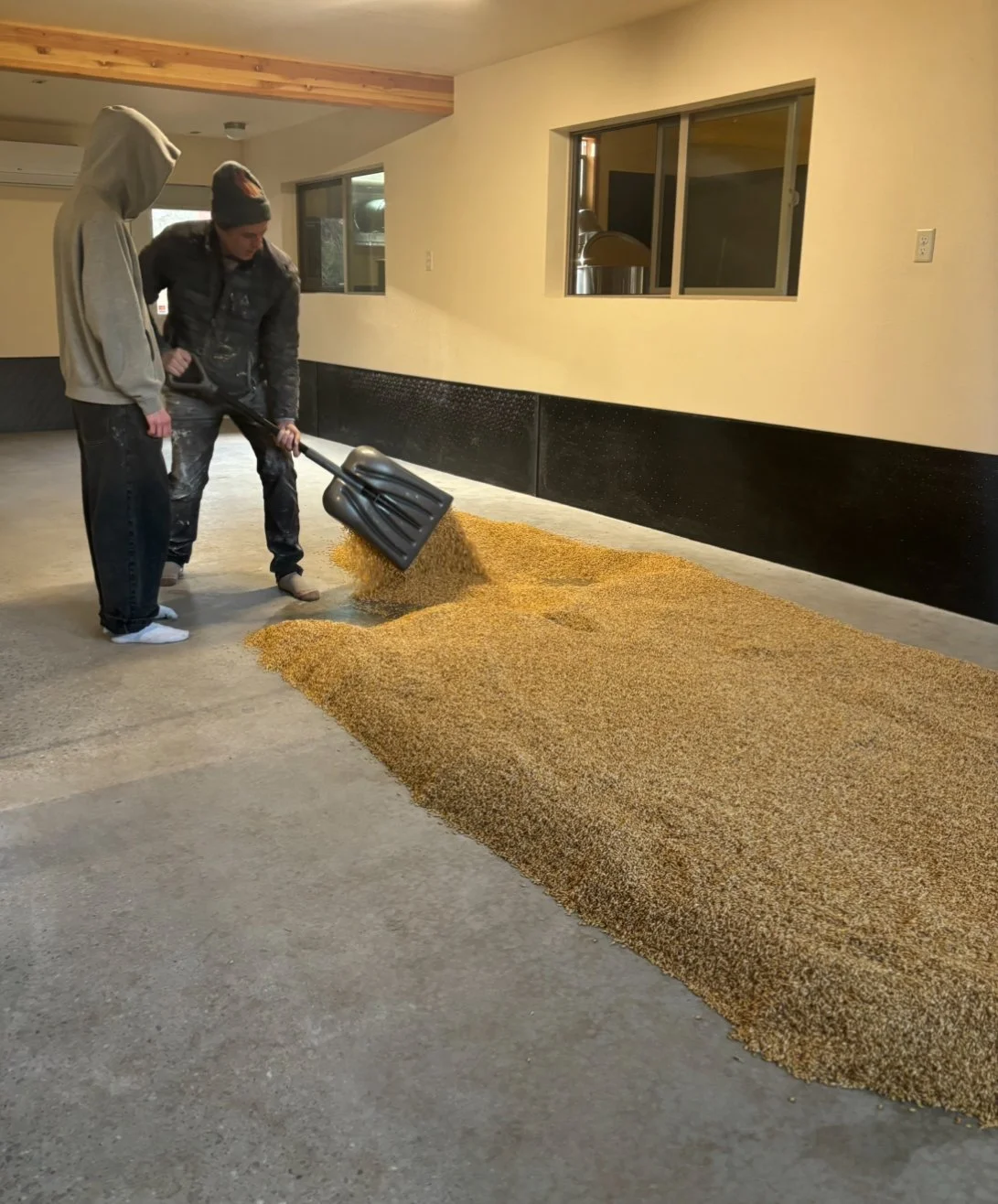 Floor Malting — Chimacum Valley Grainery