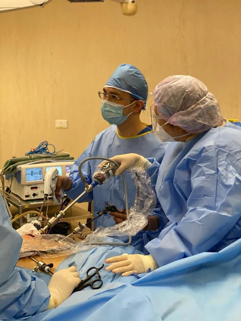 Minimally Invasive Surgery (Esophageal cancer) — Surgical Care HK 信建微創外科中心