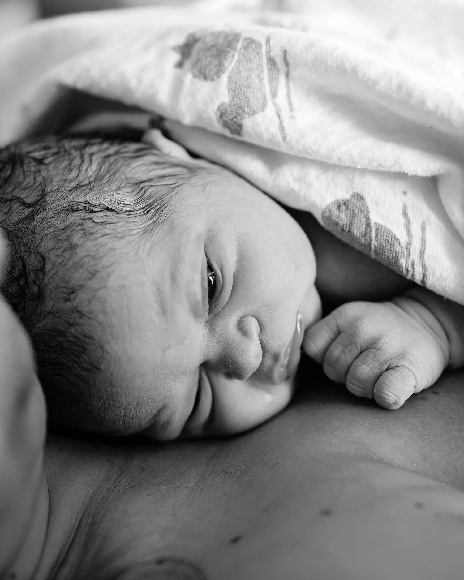 Baby Samuel — Maria Thibodeau | Martha's Vineyard Parenthood ...