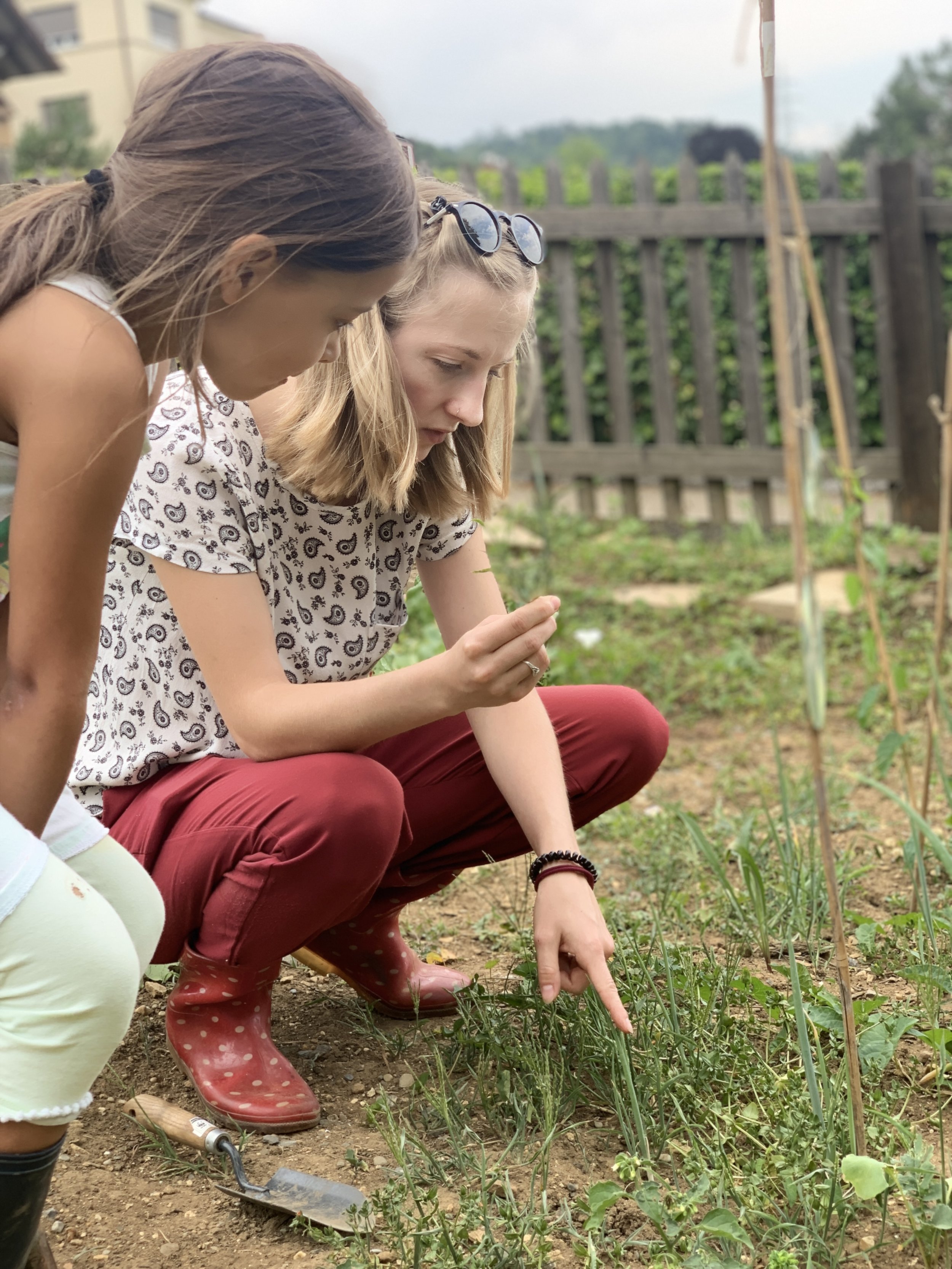 Acker Schweiz — Seedling Foundation