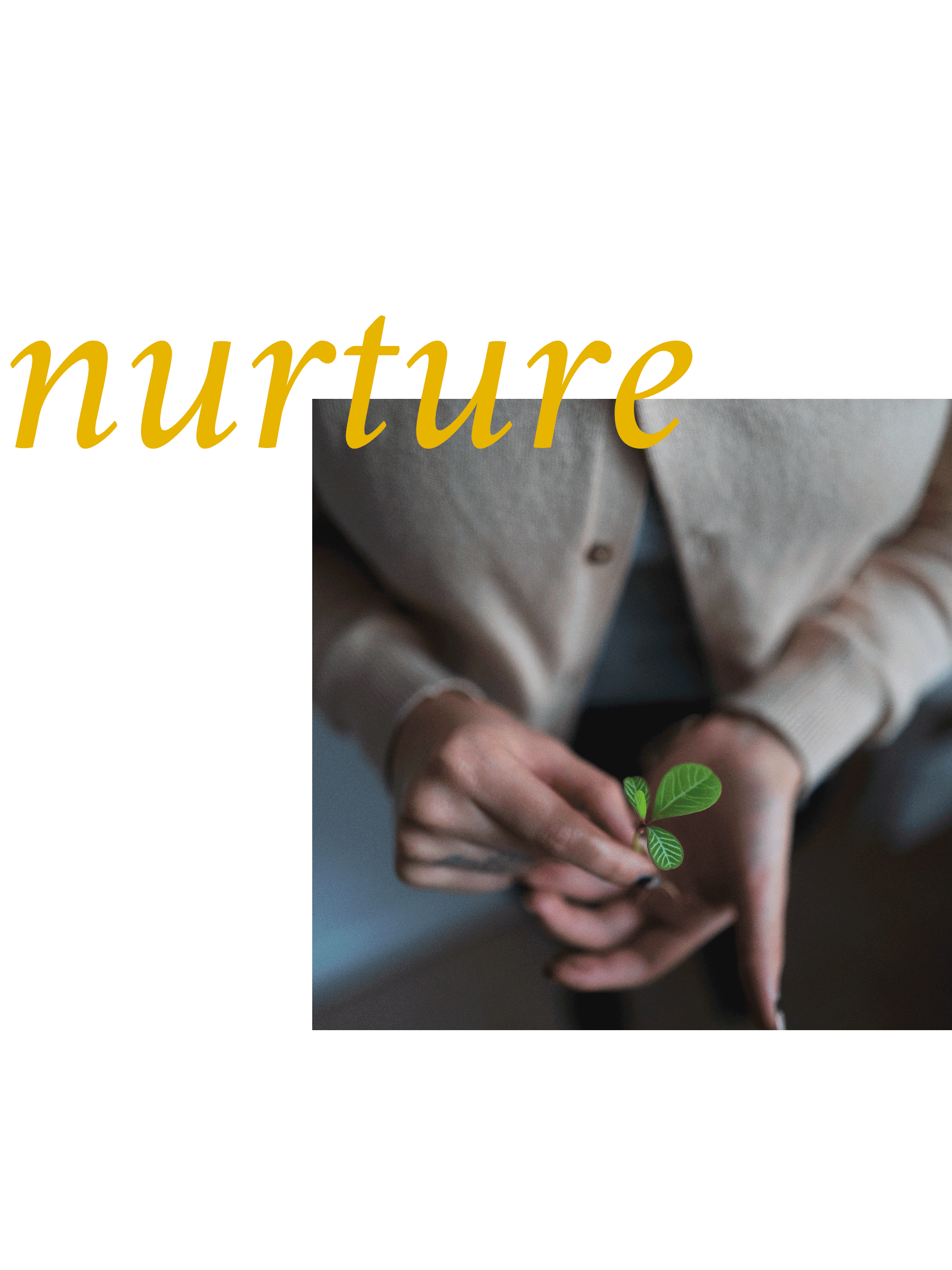 About 1 — Seedling Foundation