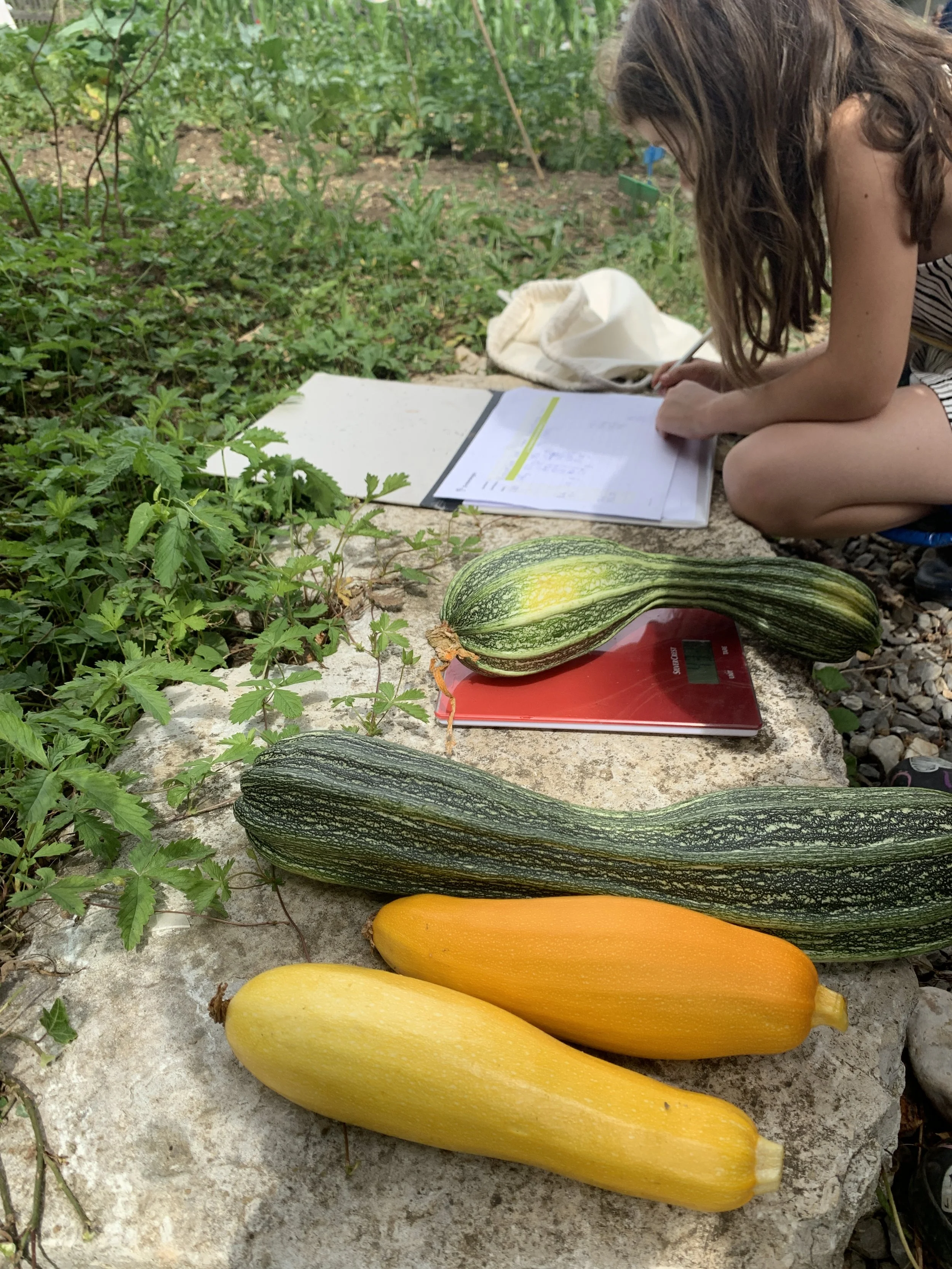 Acker Schweiz — Seedling Foundation