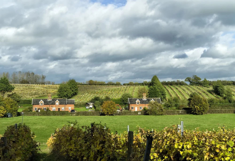 Helping Tenants — Warm Homes Suffolk