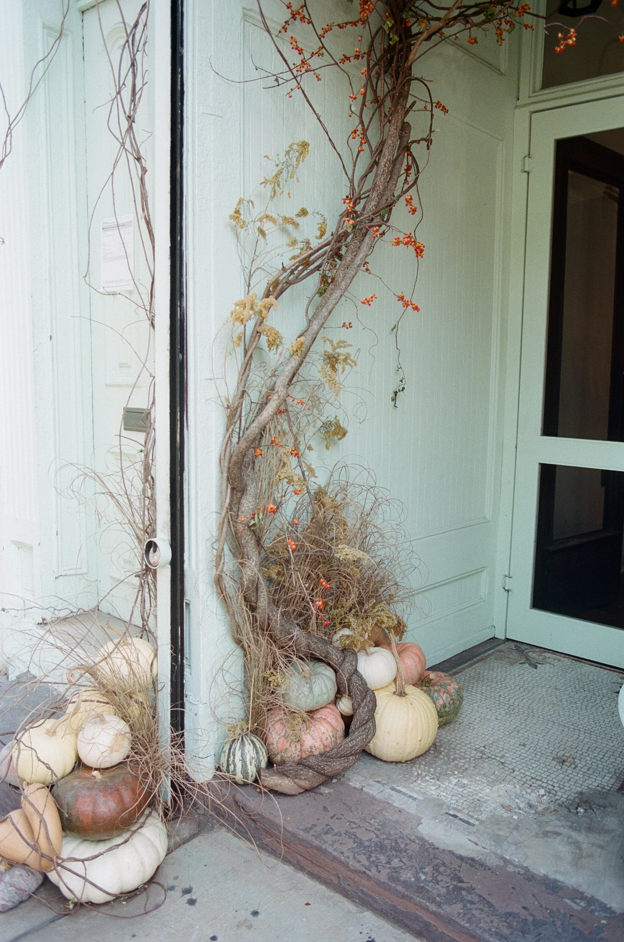 installation — ashn earth