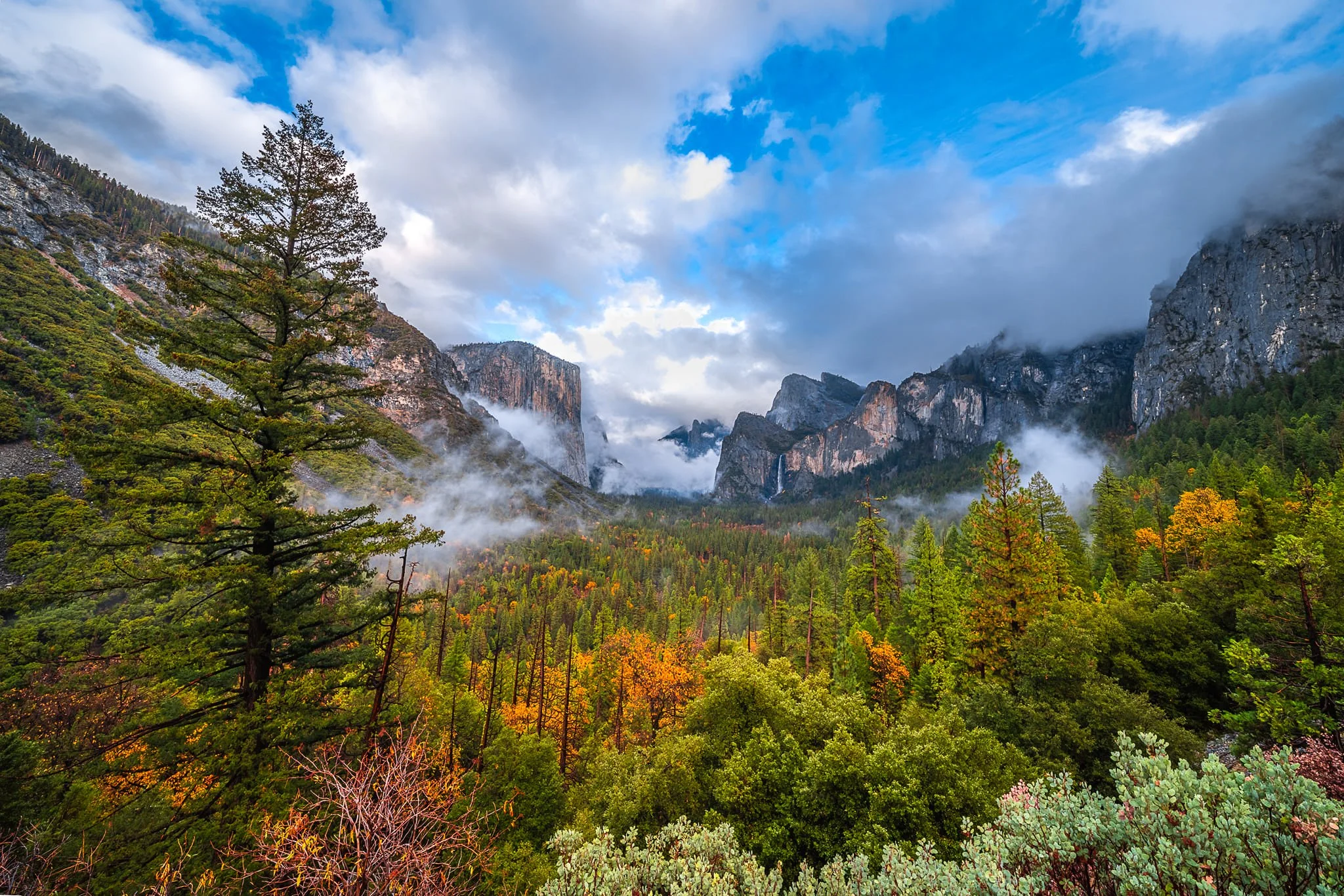 2021 — COHOF BIOS — California Outdoors Hall of Fame