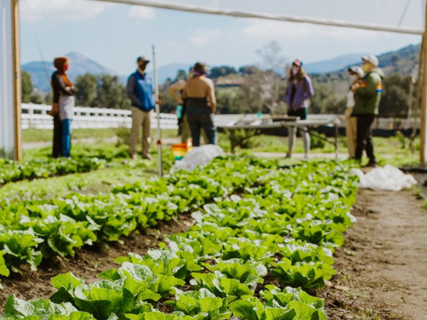 Vision — San Diego Food System Alliance