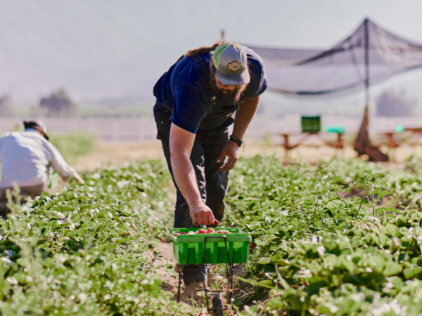 Vision — San Diego Food System Alliance