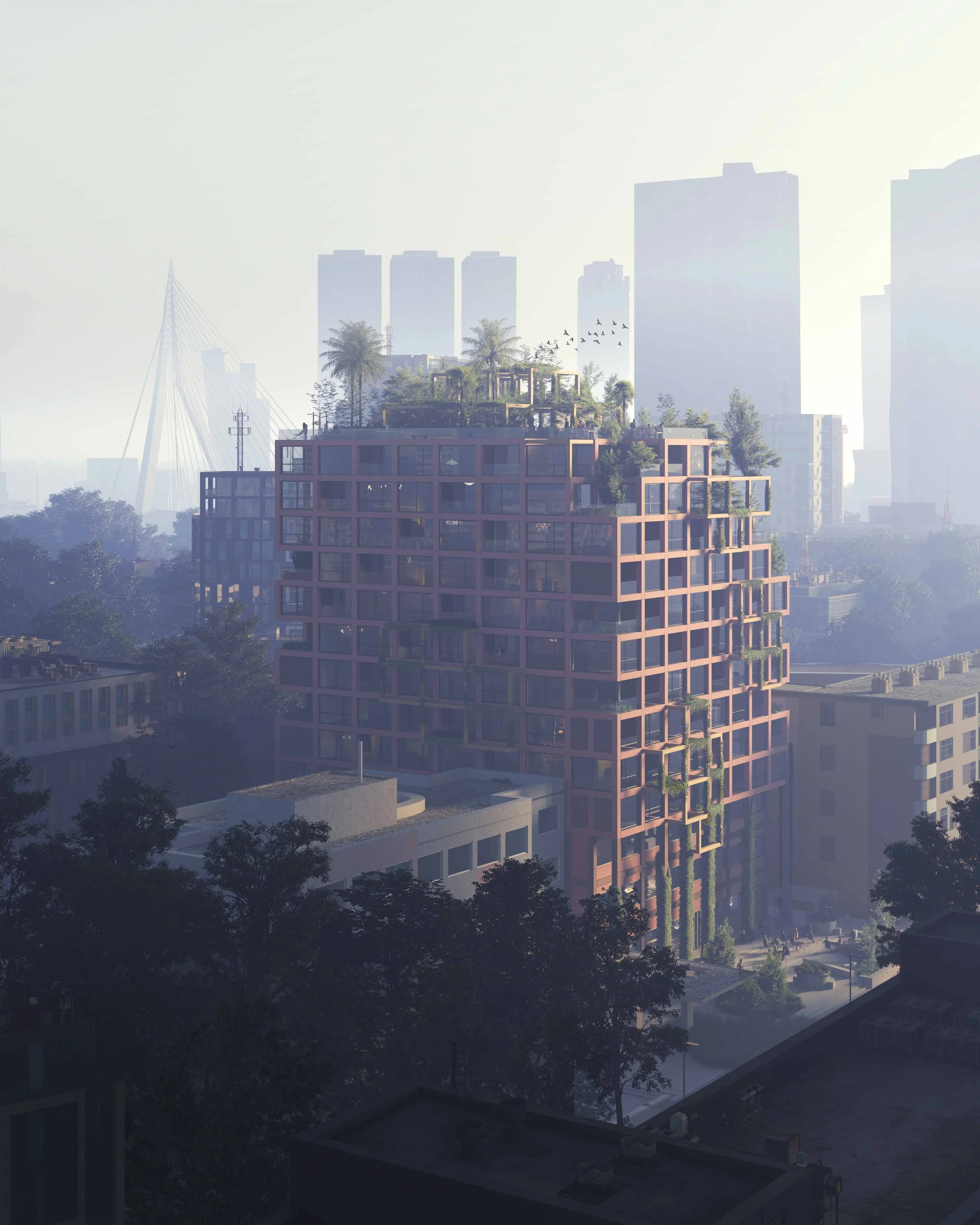 BAAN — VMX Architects