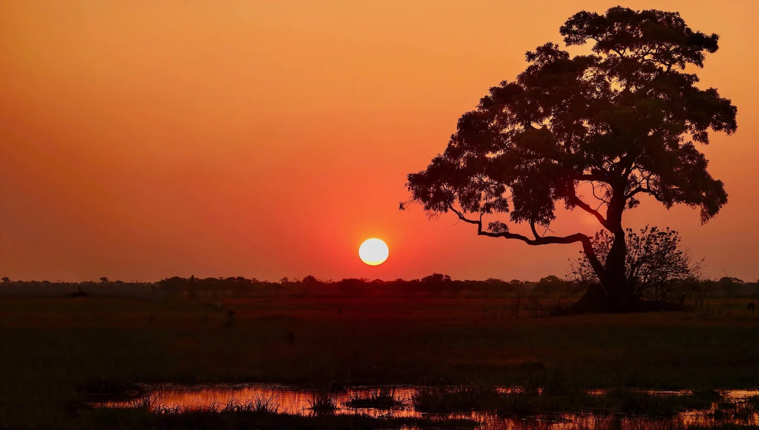 What Is a Sundowner? Meaning & Safari Ritual Explained — Sundowner Safaris