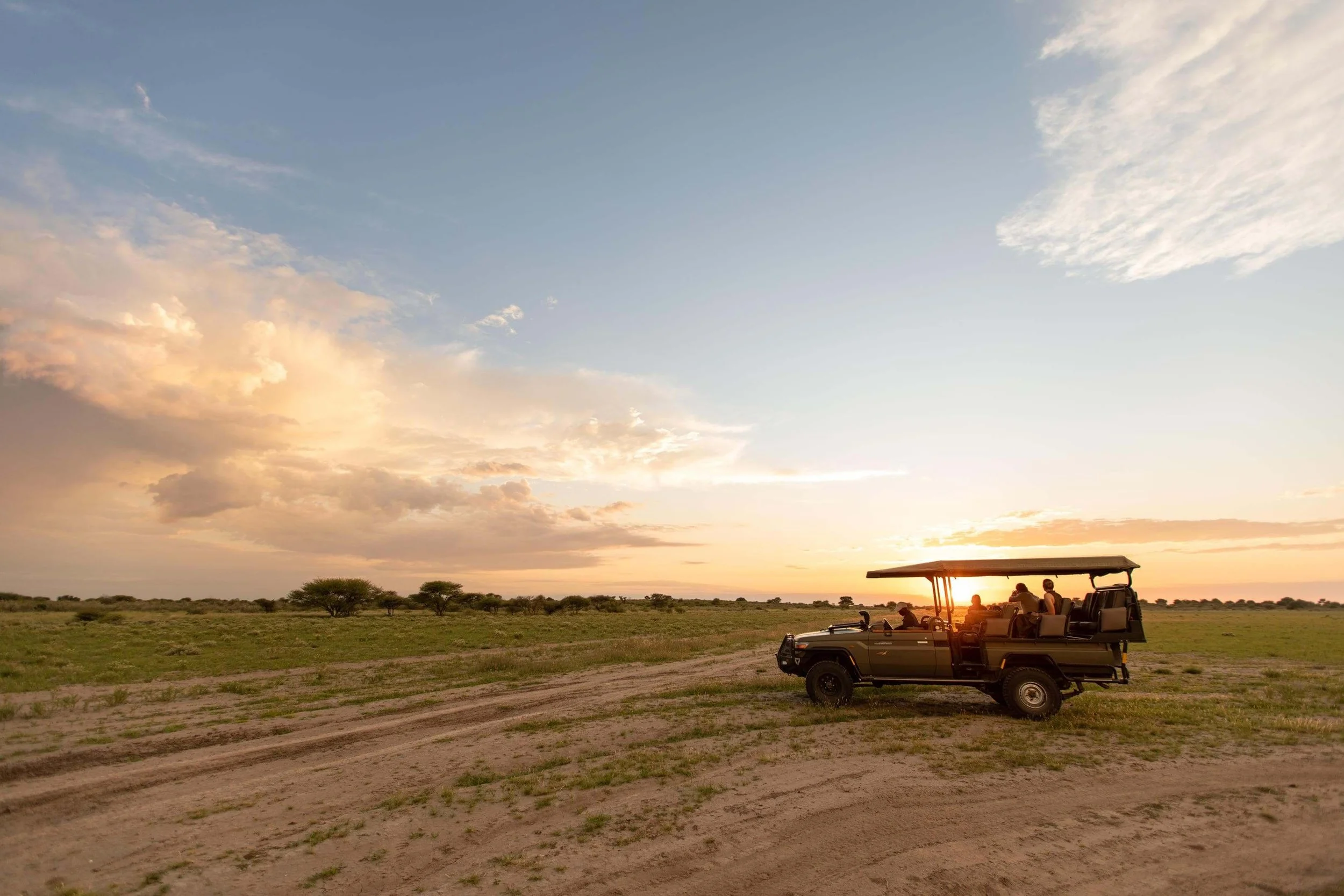 Best Time for African Safari: Month-by-Month Guide (2026) — Sundowner ...