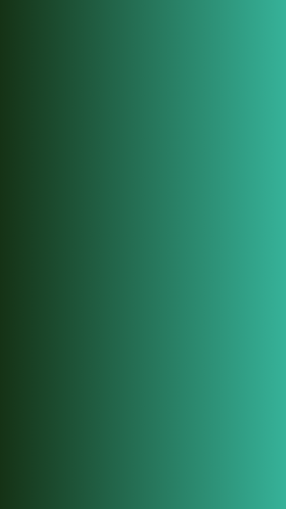 Menu 1 — Two Amigos Mexican Restaurant