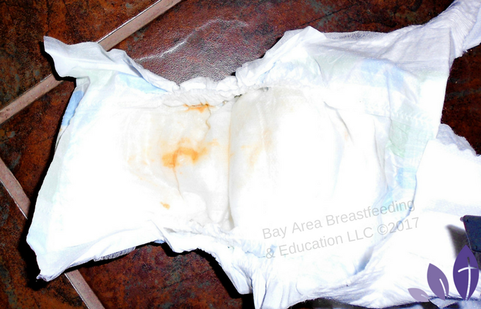 The Inside Scoop on Pee and Poop — Bay Area Breastfeeding & Education