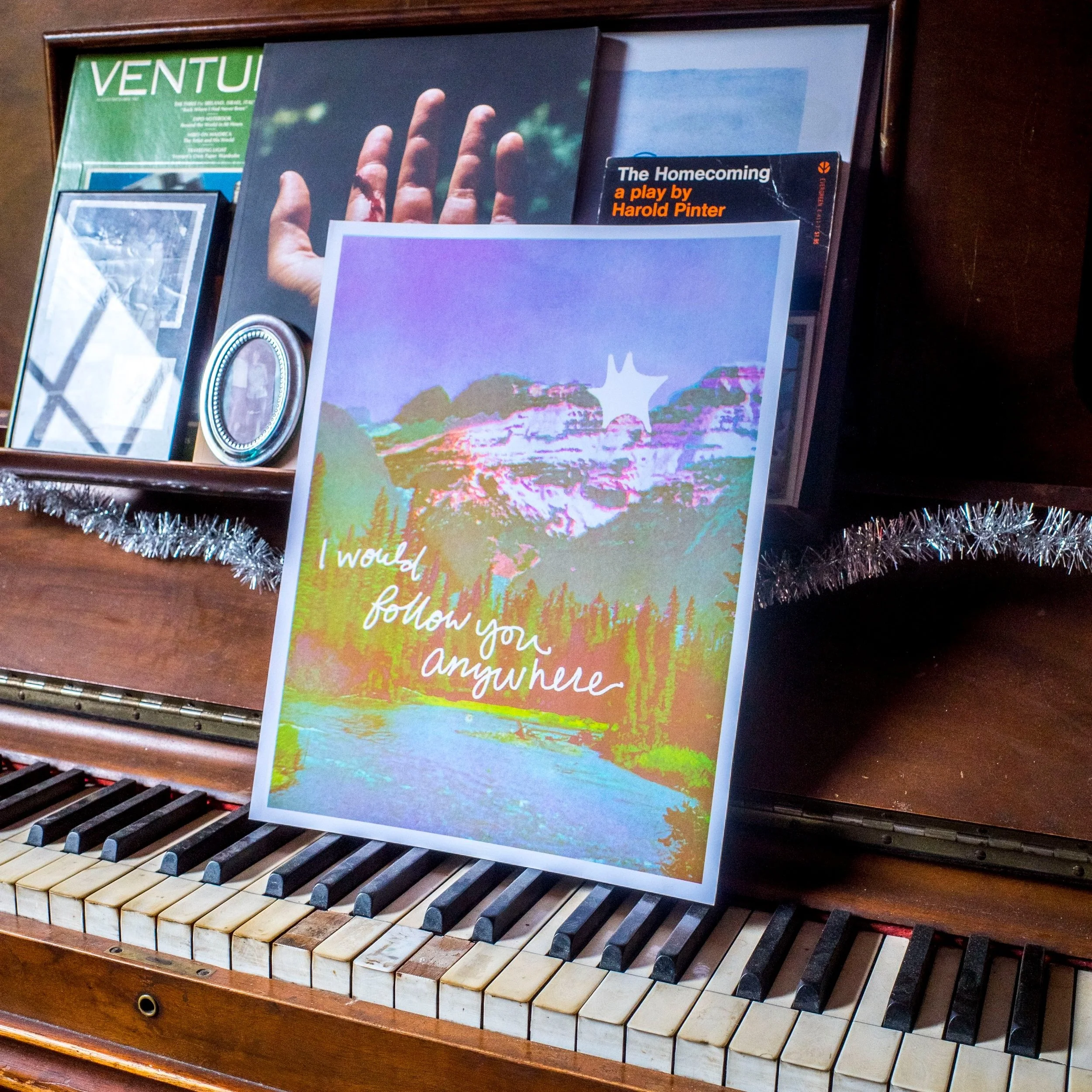 Shop — Alex Luciano