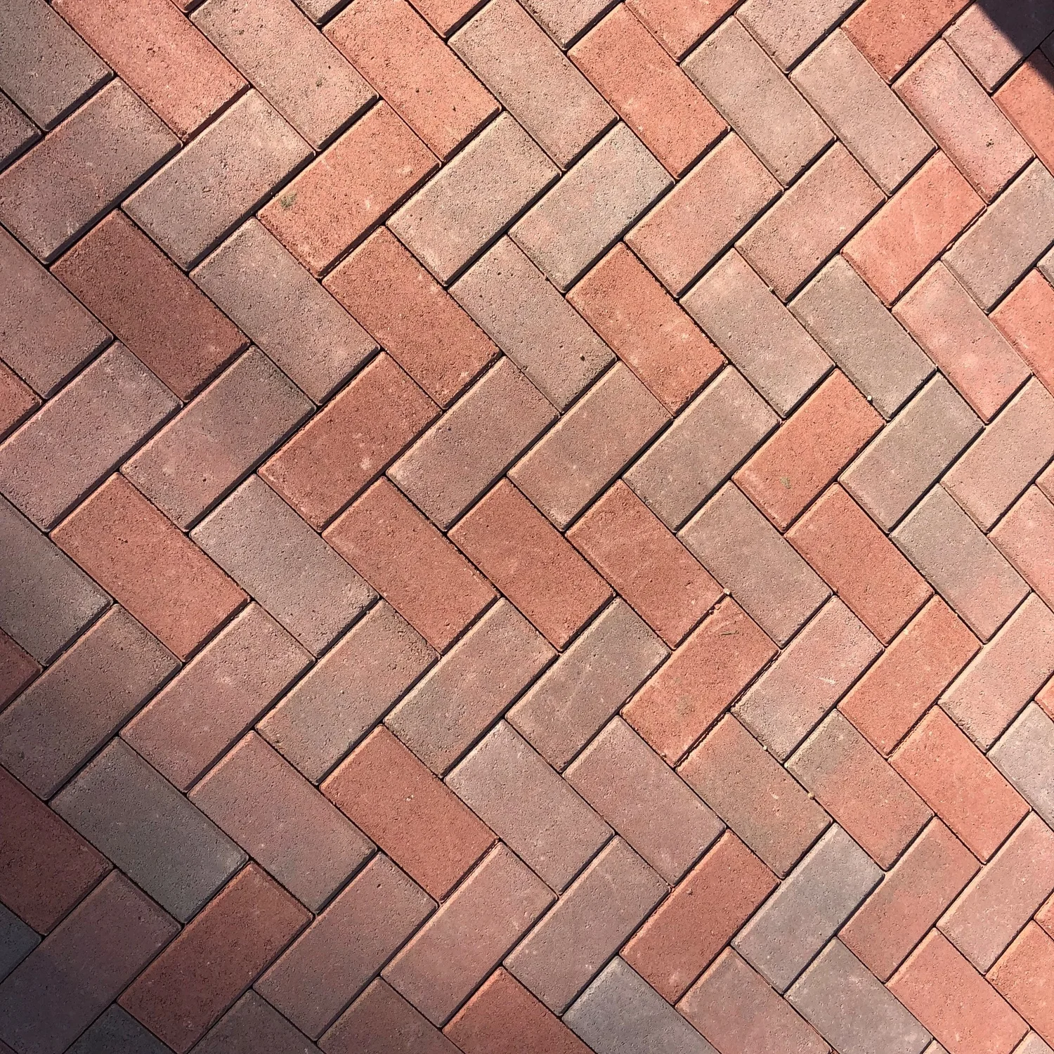 Left Coast Pavers