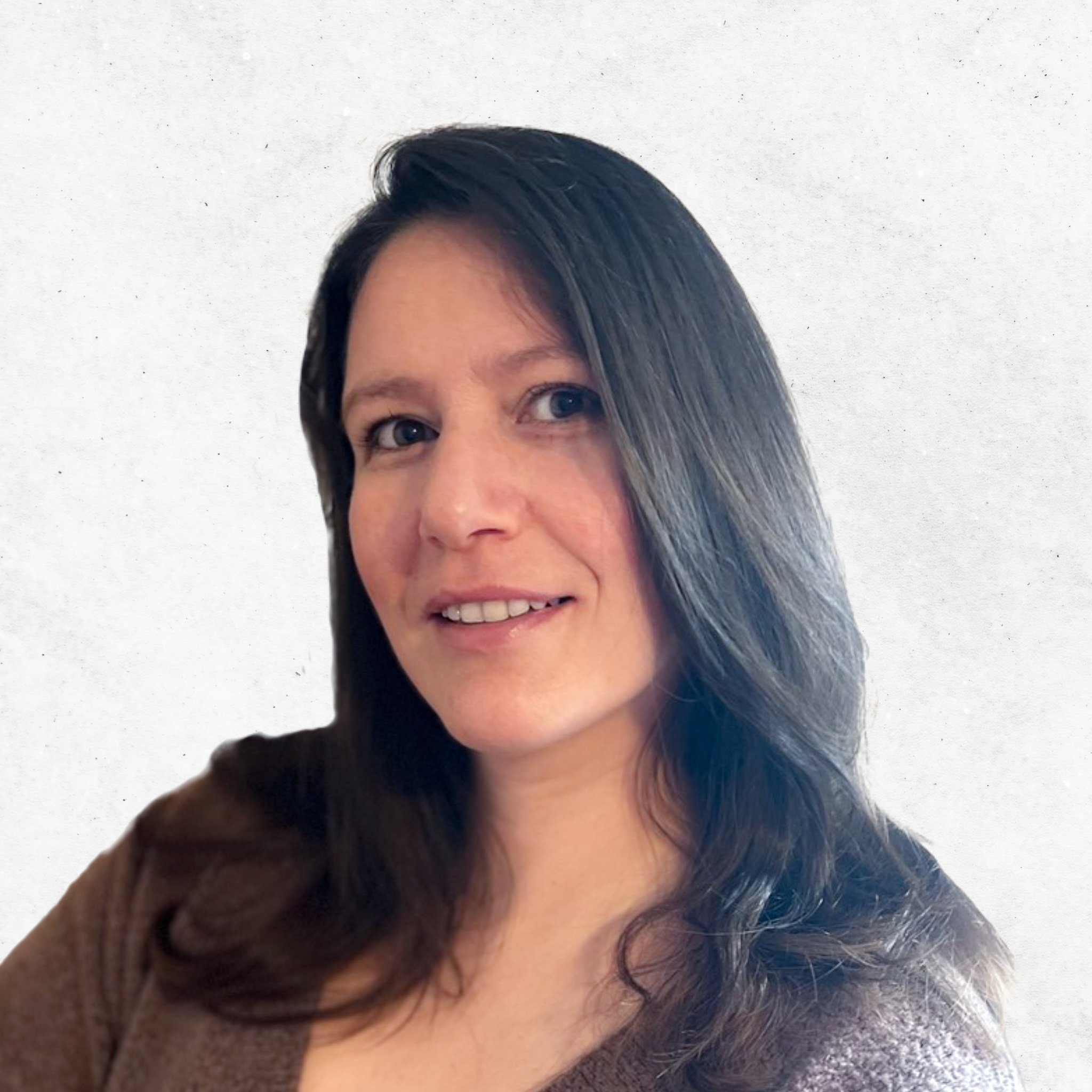 About CSI Group LLC — Container Services International