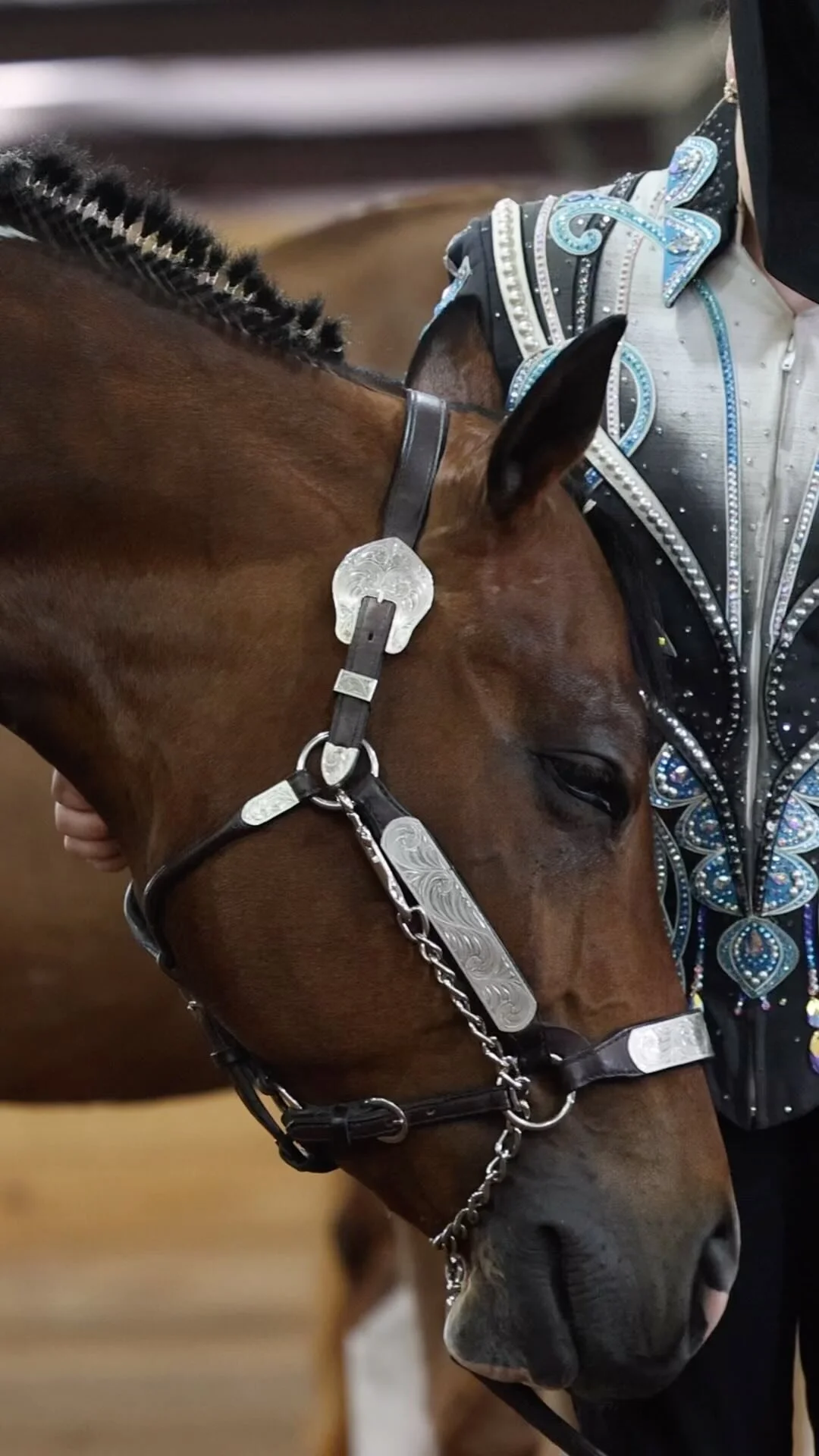 Norfleet Marketing & Photography | Midwest Equine Photographer