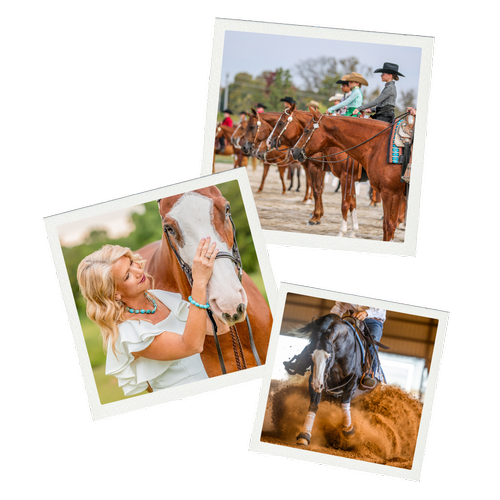 Norfleet Marketing & Photography | Midwest Equine Photographer