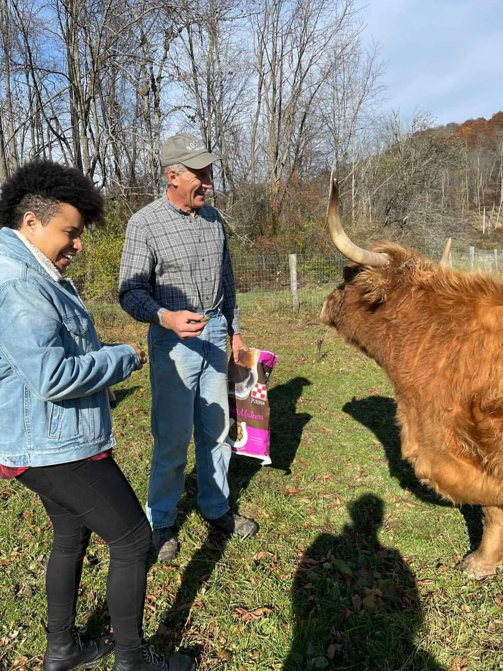 Scottish Highland Cattle | Farm Tours | Dutchess County