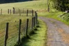 Scottish Highland Cattle | Farm Tours | Dutchess County