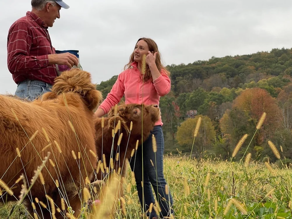Scottish Highland Cattle | Farm Tours | Dutchess County