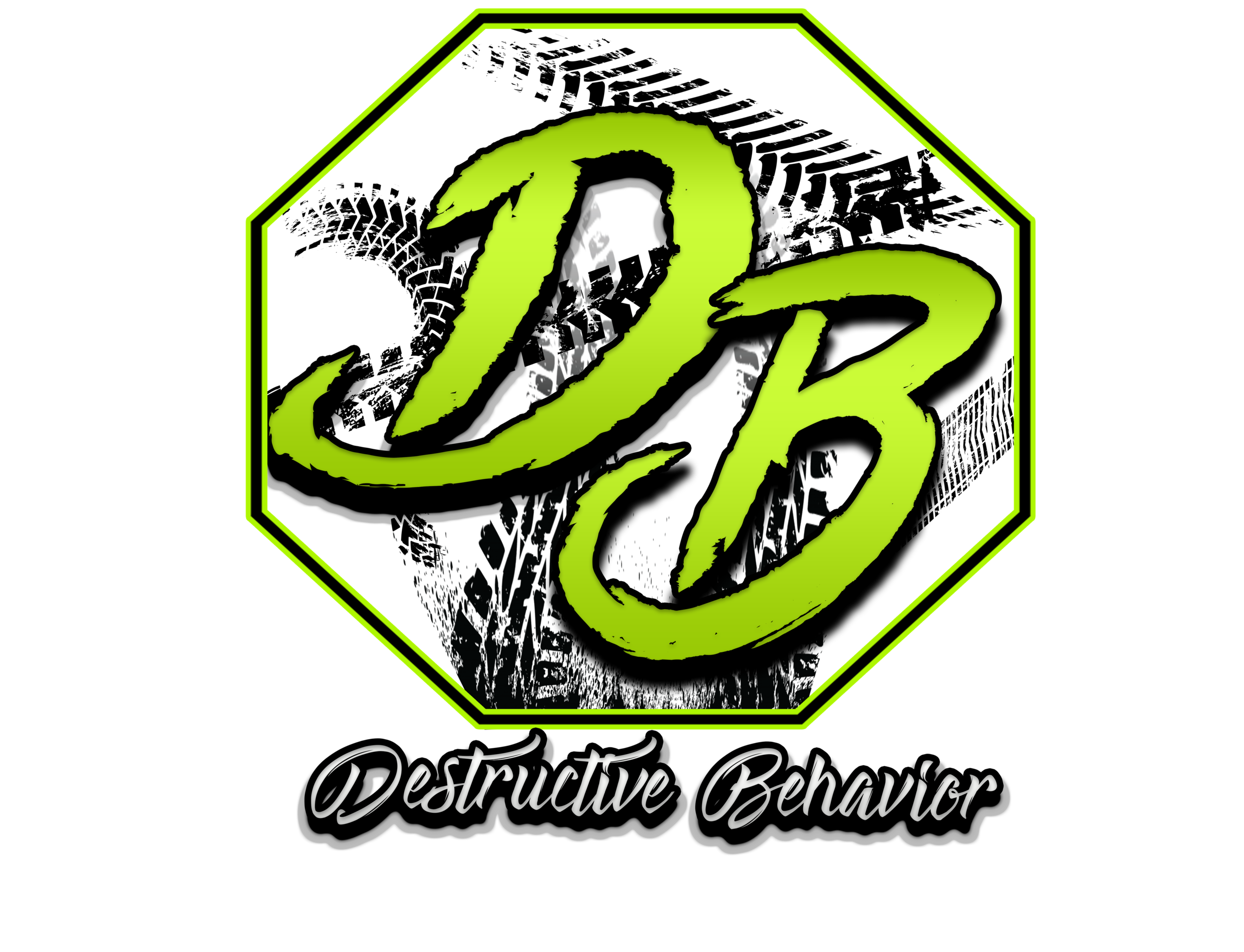 Destructive Behavior