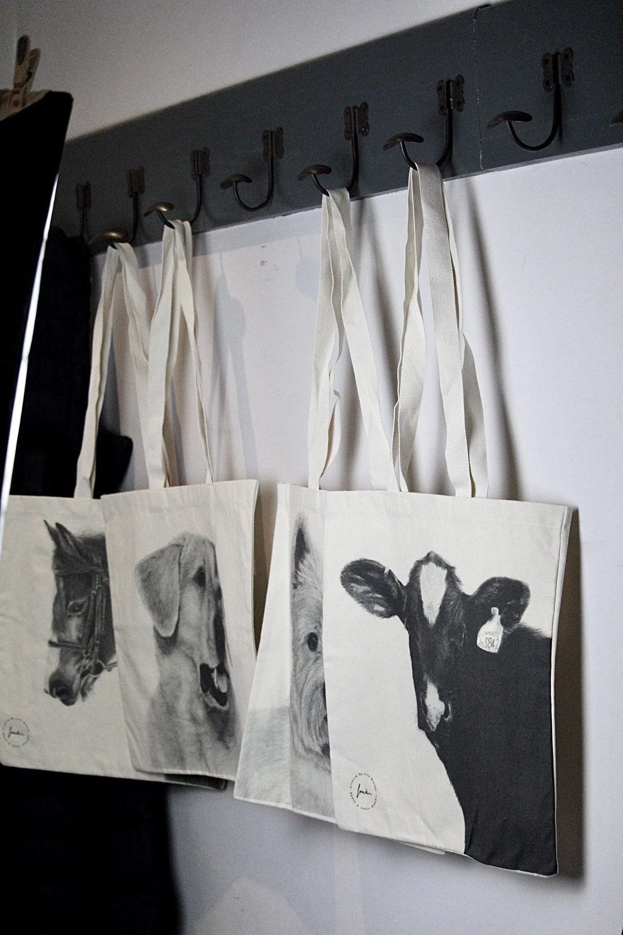 Share A Little Frankie