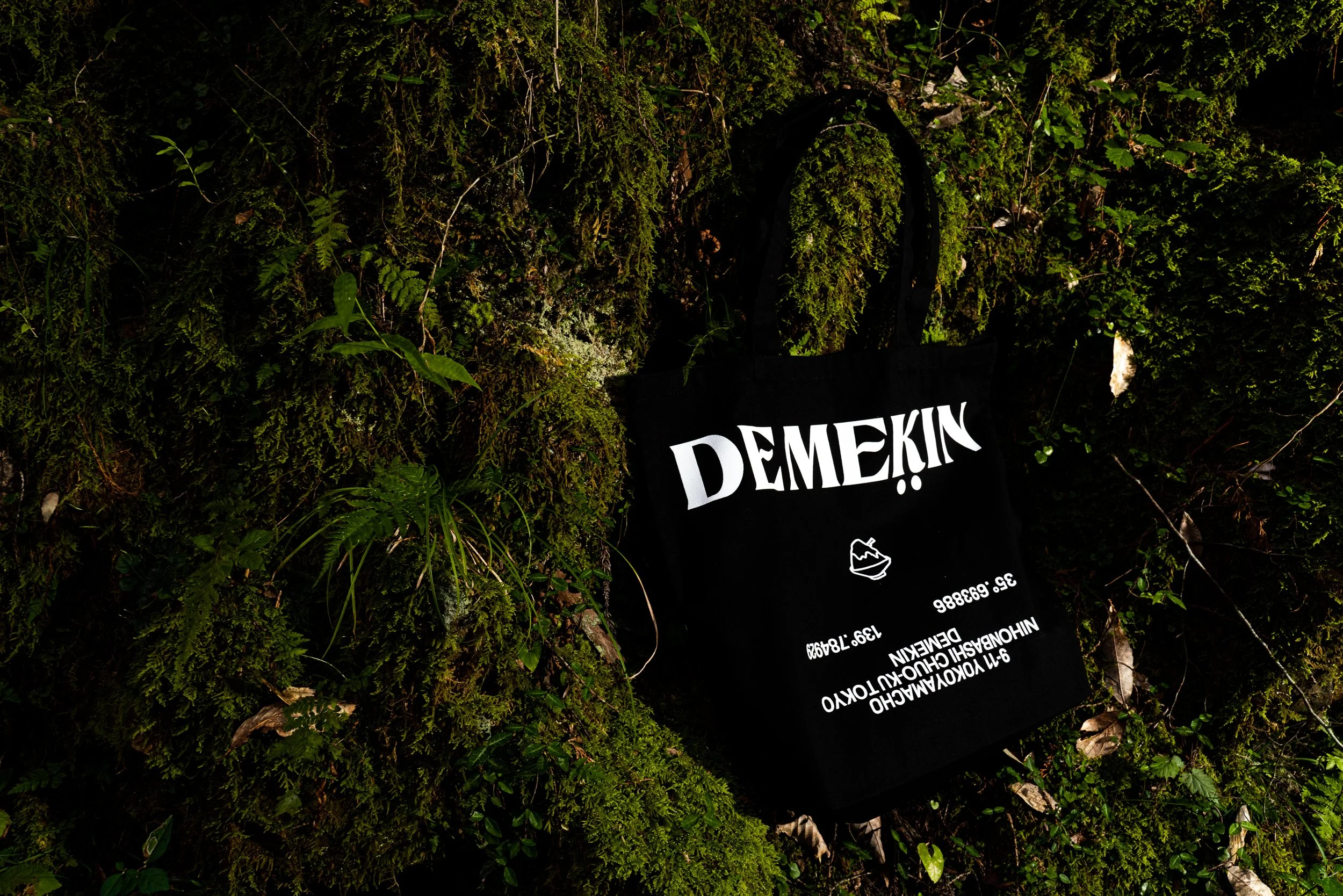 DEME KORI CLUB — DEMEKIN