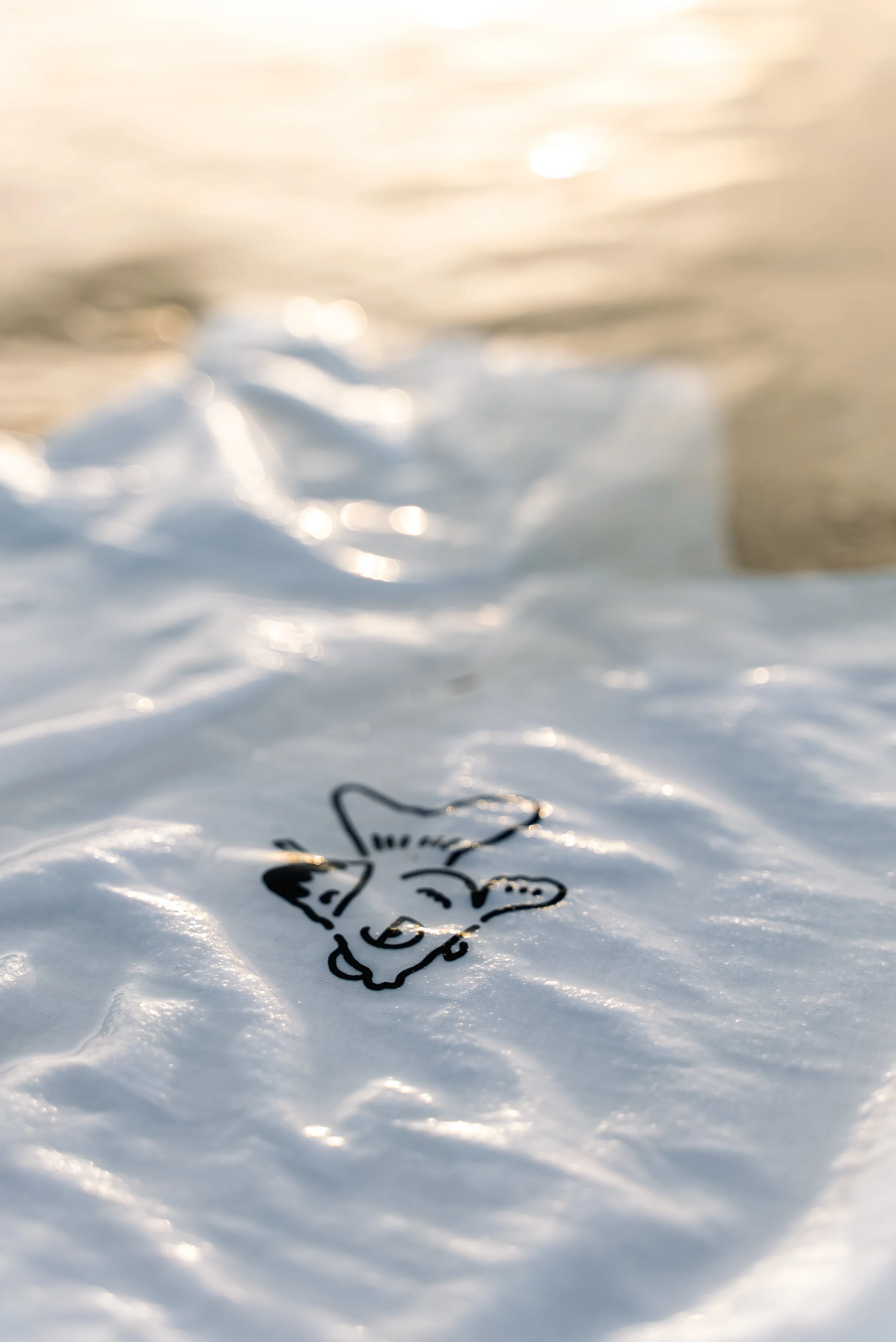 DEME KORI CLUB — DEMEKIN