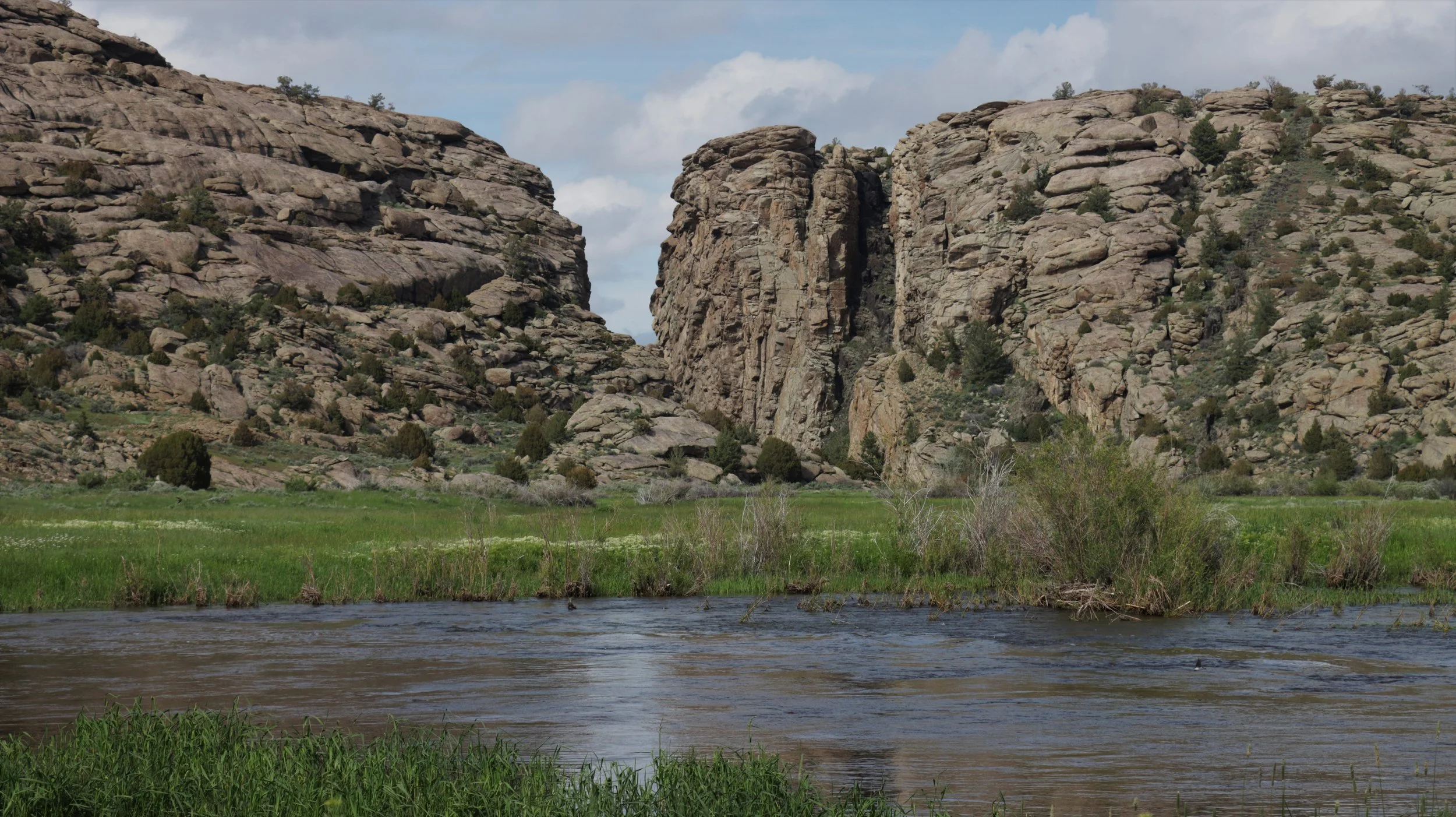 Teton Stage Lines | Tour Bus Charter | Black Tie Service