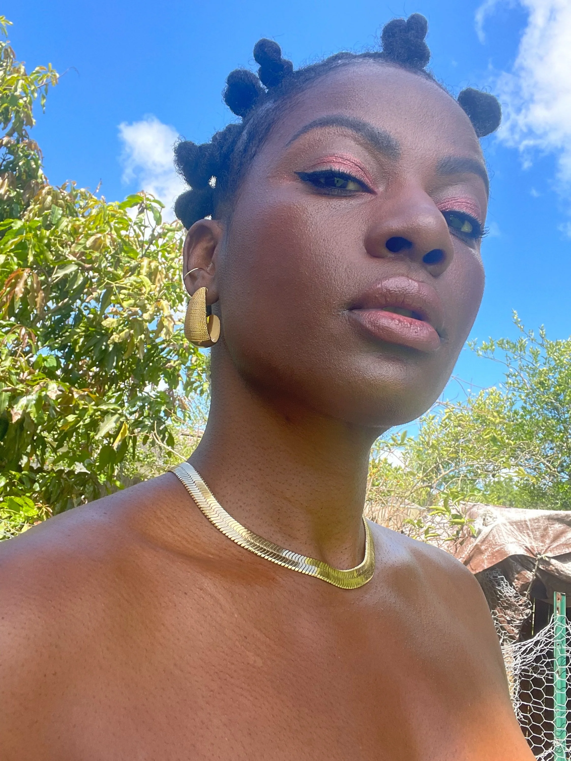 Crown Link Chain Necklace — Everyday Inheritance | Shop Jewelry