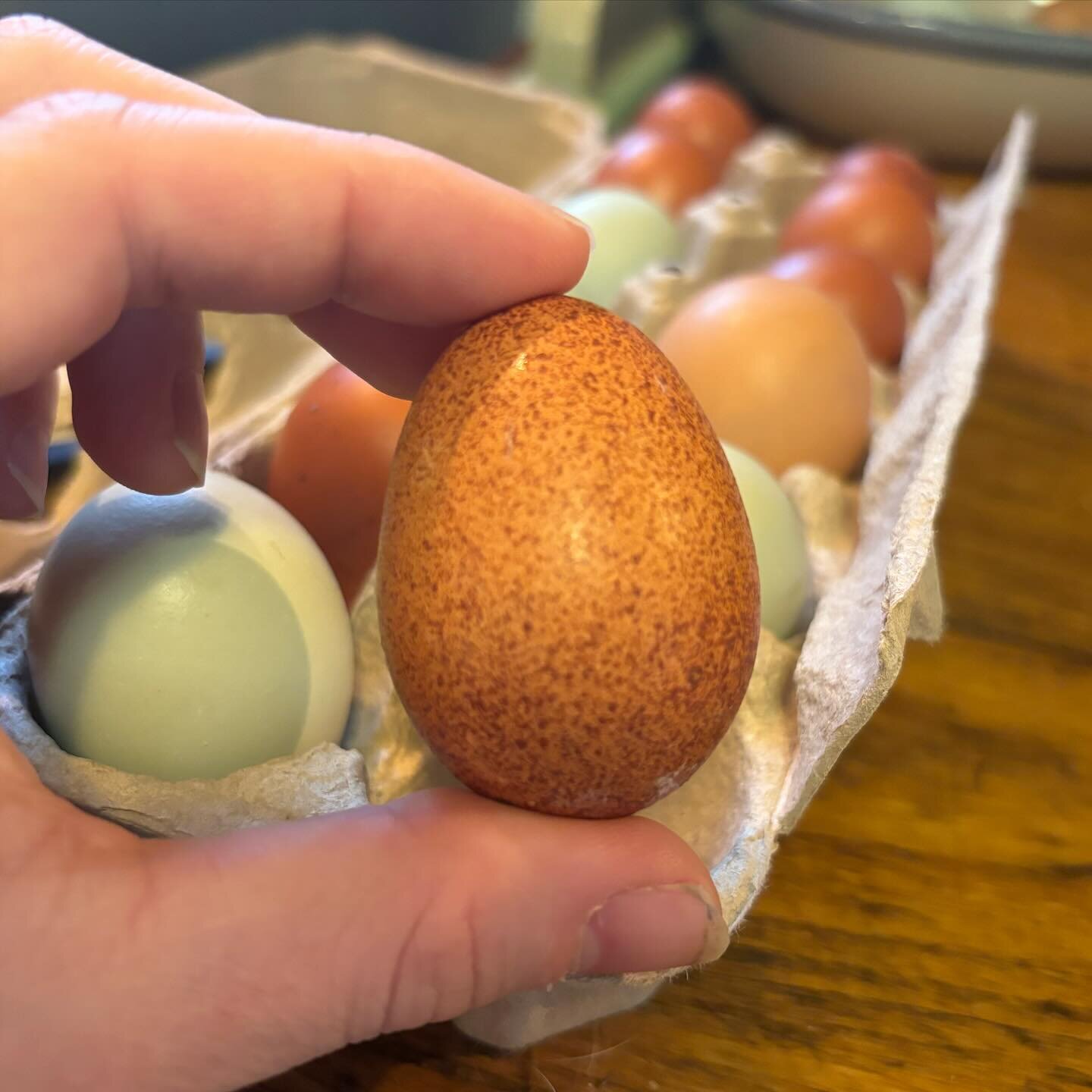 Eggs — Poultry Farming and Homesteading — Our Nook of the Woods