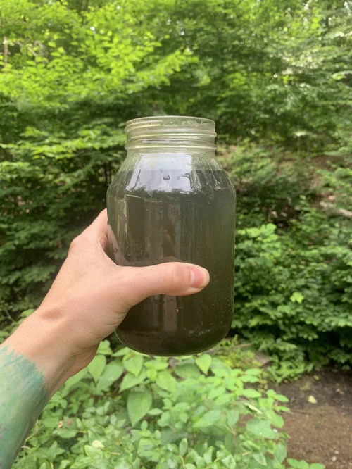 How to make your own organic liquid fertilizer — Our Nook of the Woods