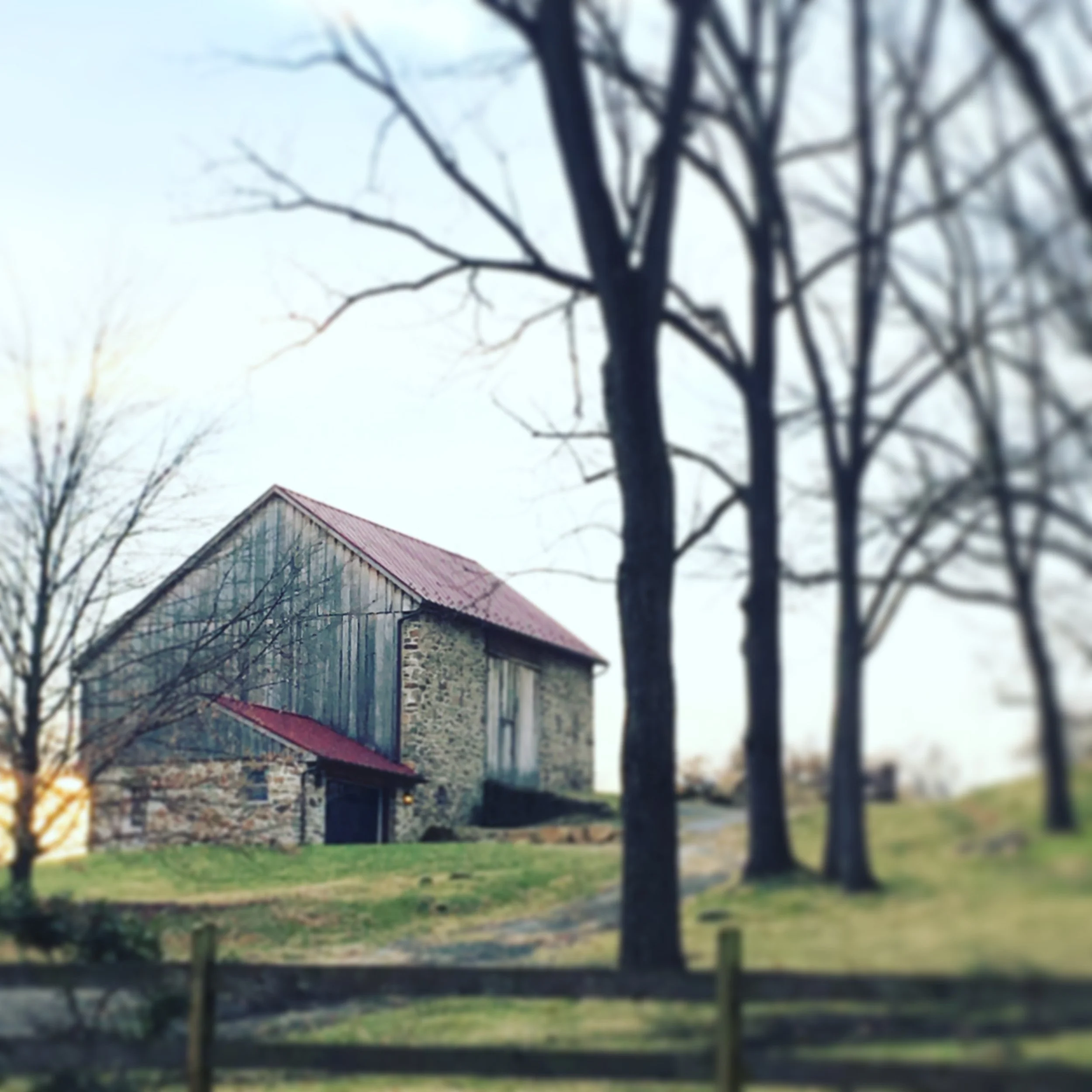 George Gehring 3 Photography — GEORGE GEHRING 3 PHOTOGRAPHY