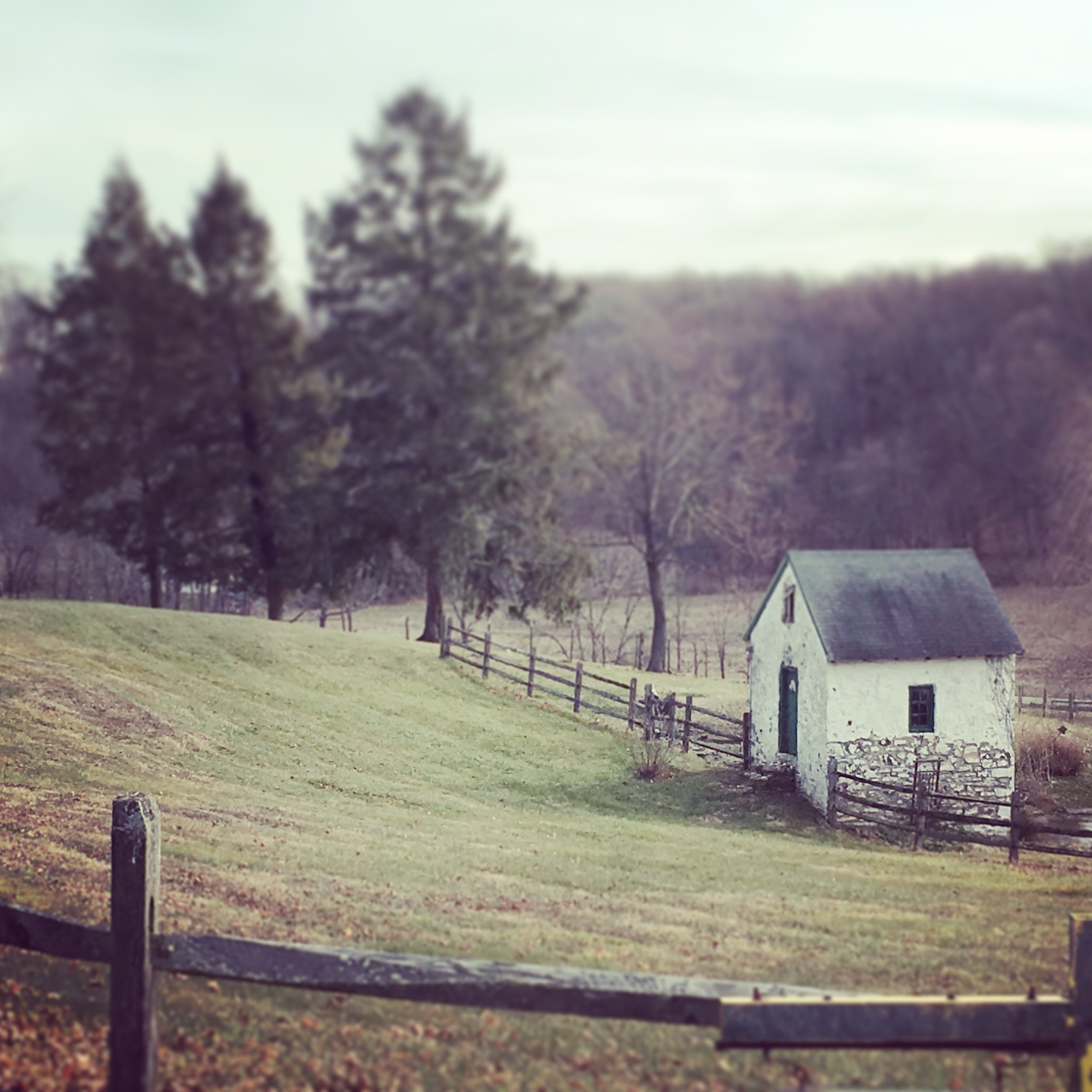 George Gehring 3 Photography — GEORGE GEHRING 3 PHOTOGRAPHY