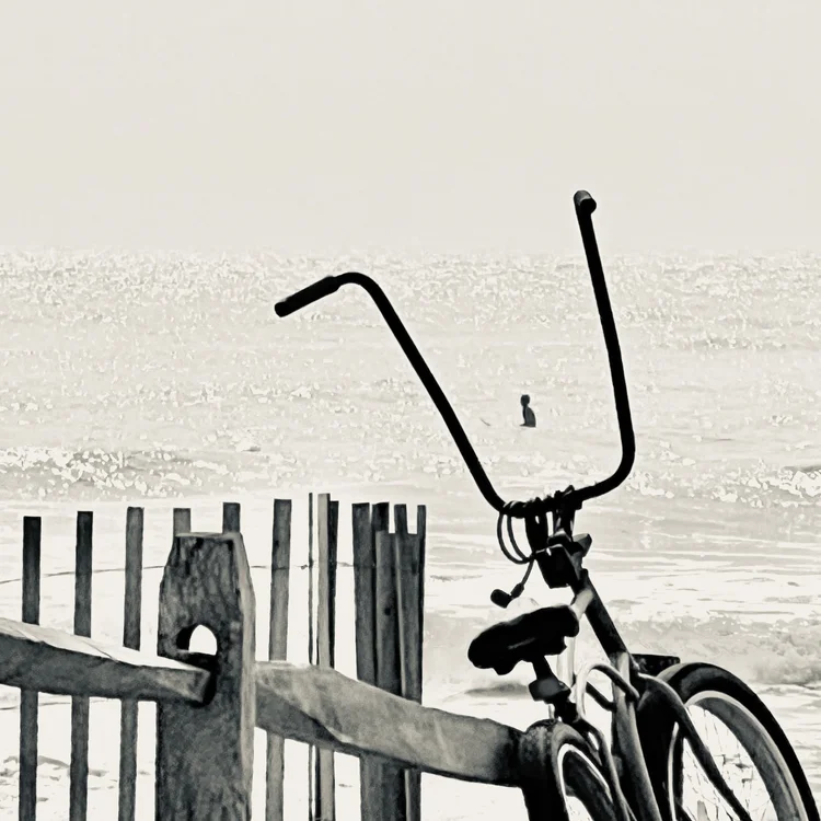 George Gehring 3 Photography — GEORGE GEHRING 3 PHOTOGRAPHY