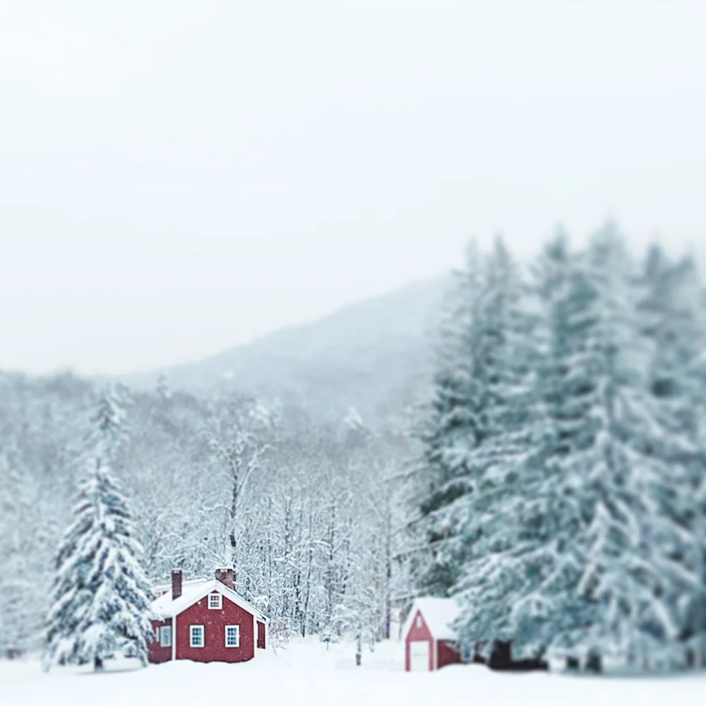 George Gehring 3 Photography — GEORGE GEHRING 3 PHOTOGRAPHY