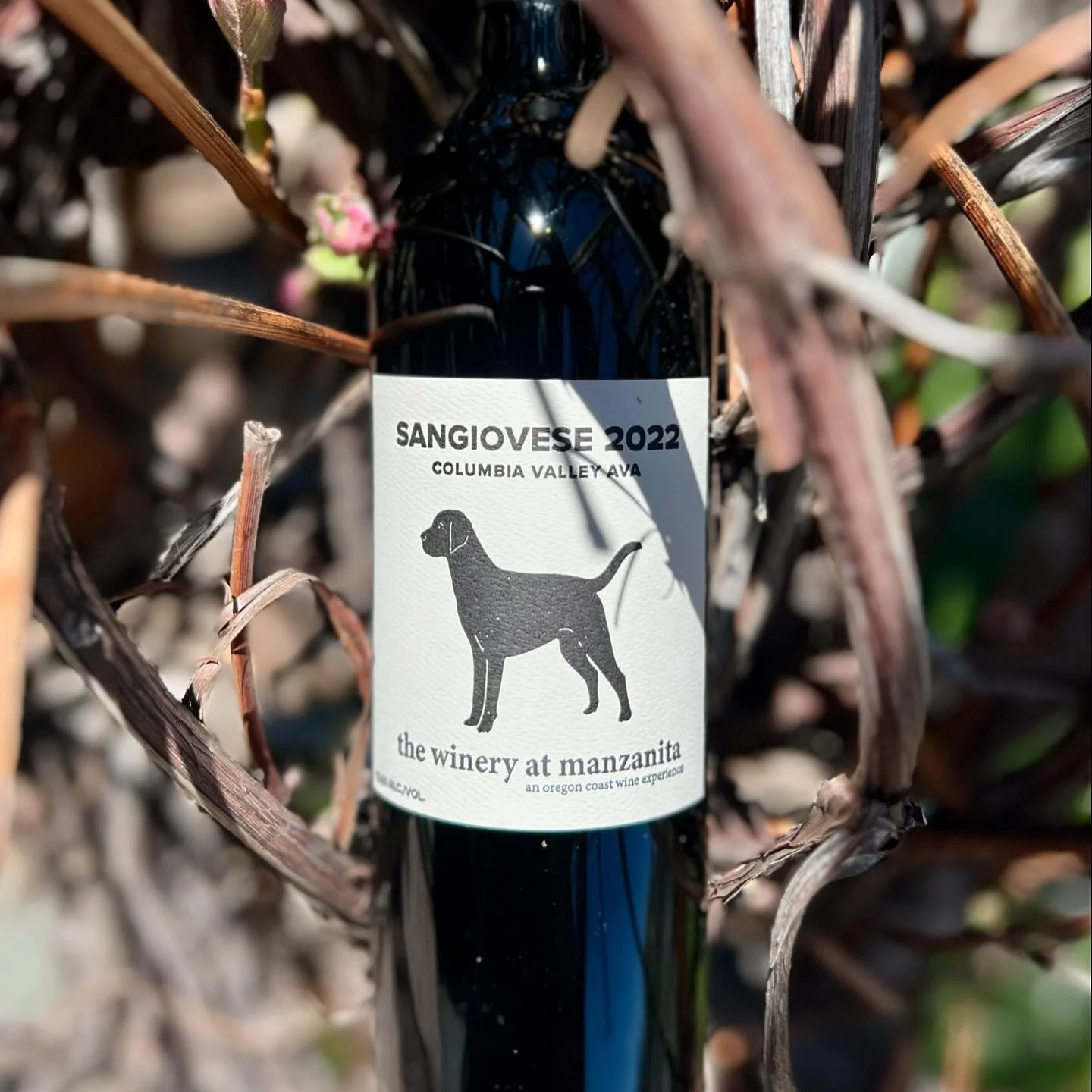 Bend Wine Bar & Winery Tasting Room