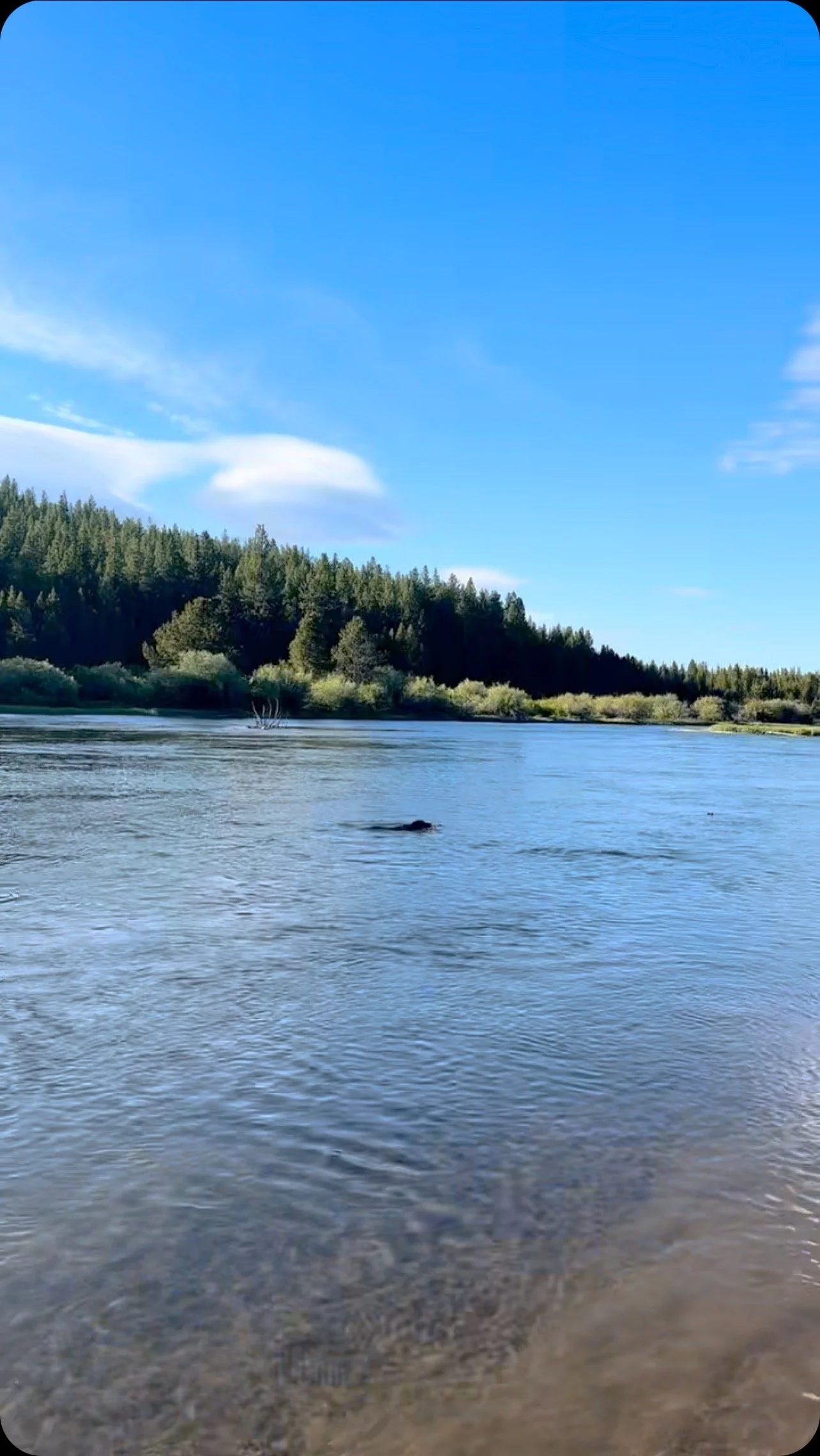 Bend Wine Bar – Box Factory