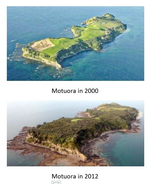 Motuora Restoration Society
