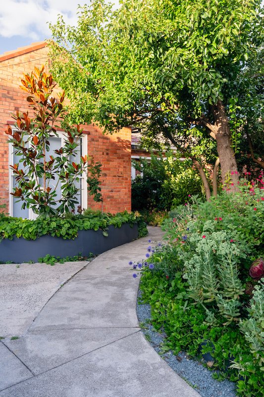 The Courtyard Garden — Blossom & Pollen - Landscapes that Bloom