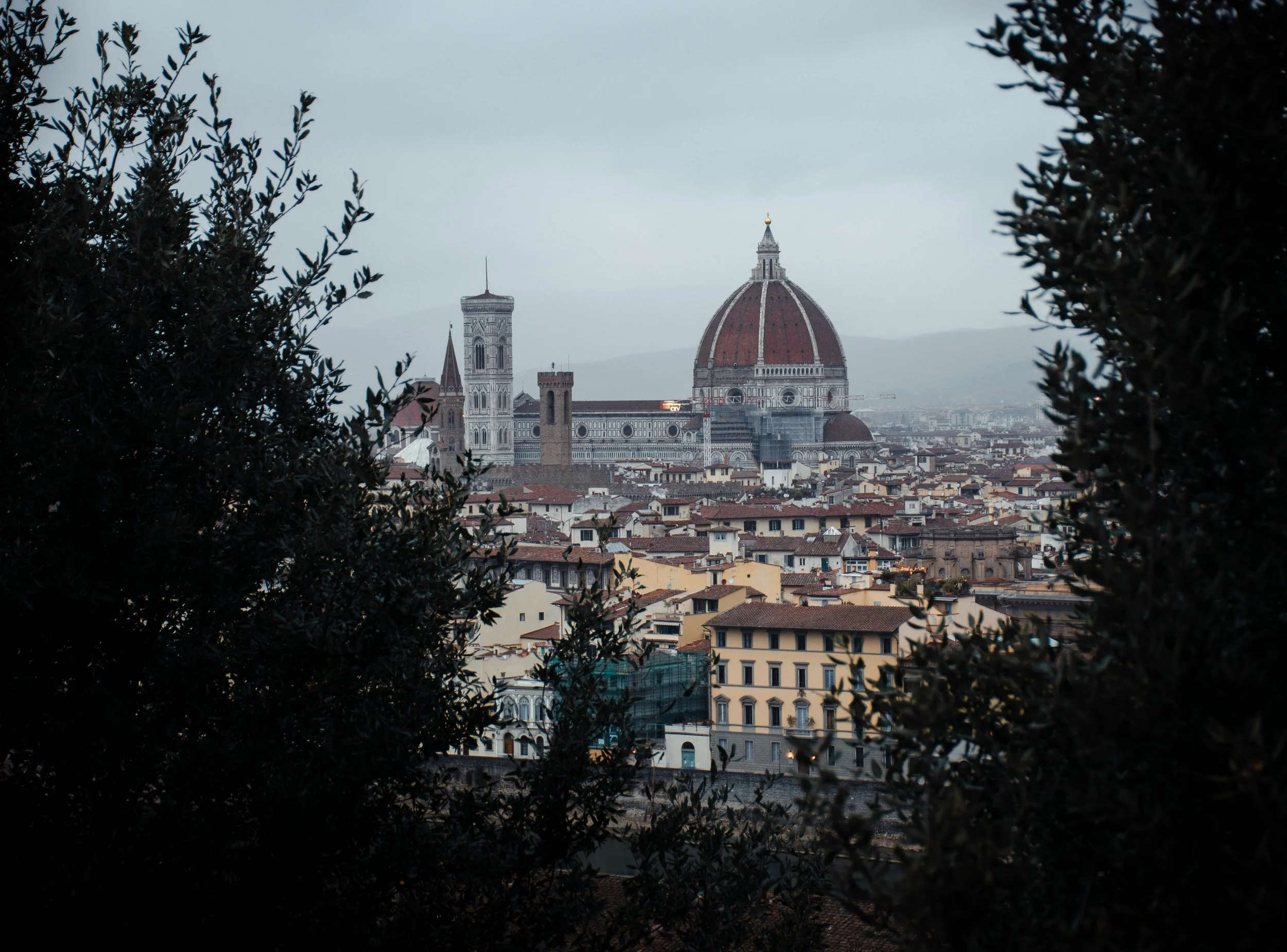 February in Florence — Roadtrips and Wine by Jana