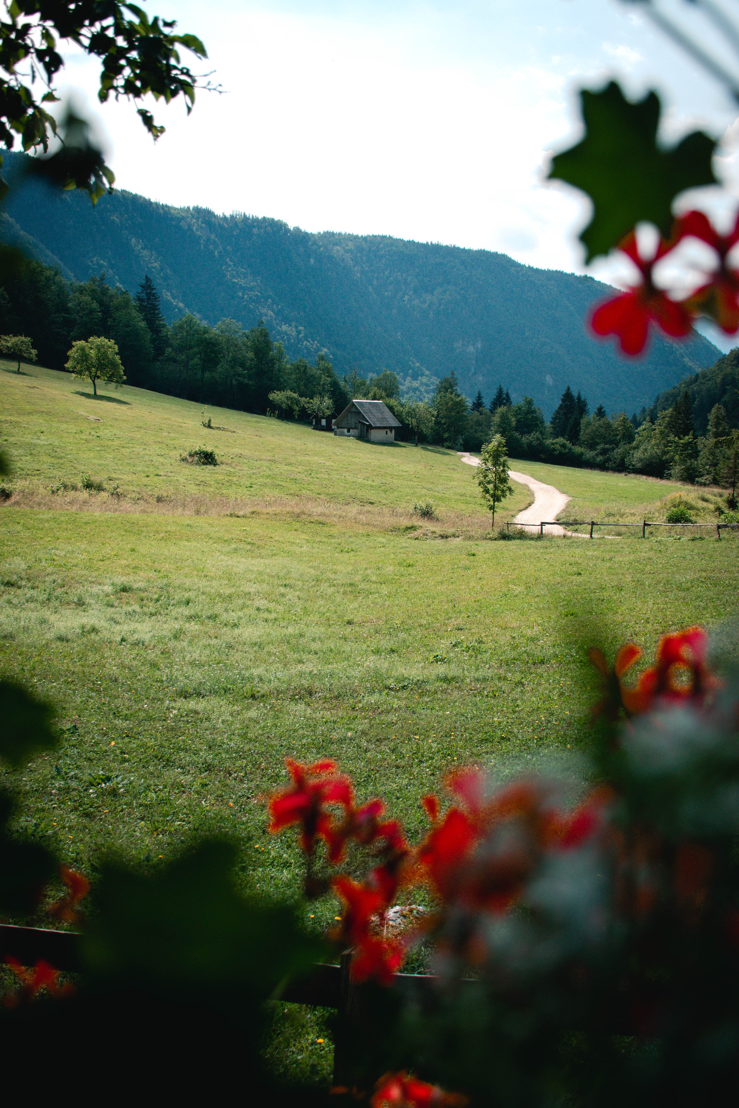 Hiking in Slovenia: 9 great hikes & walks in Triglav National Park ...