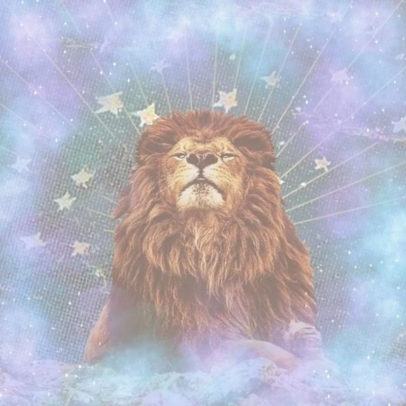 Meditation Library | Discover Calm – Try Now — KATY SLOANE